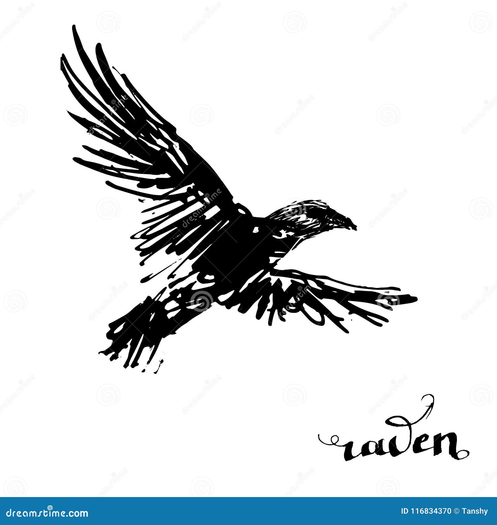 Sistema Del Ejemplo Del Vector Del Cuervo Ilustración del Vector ...