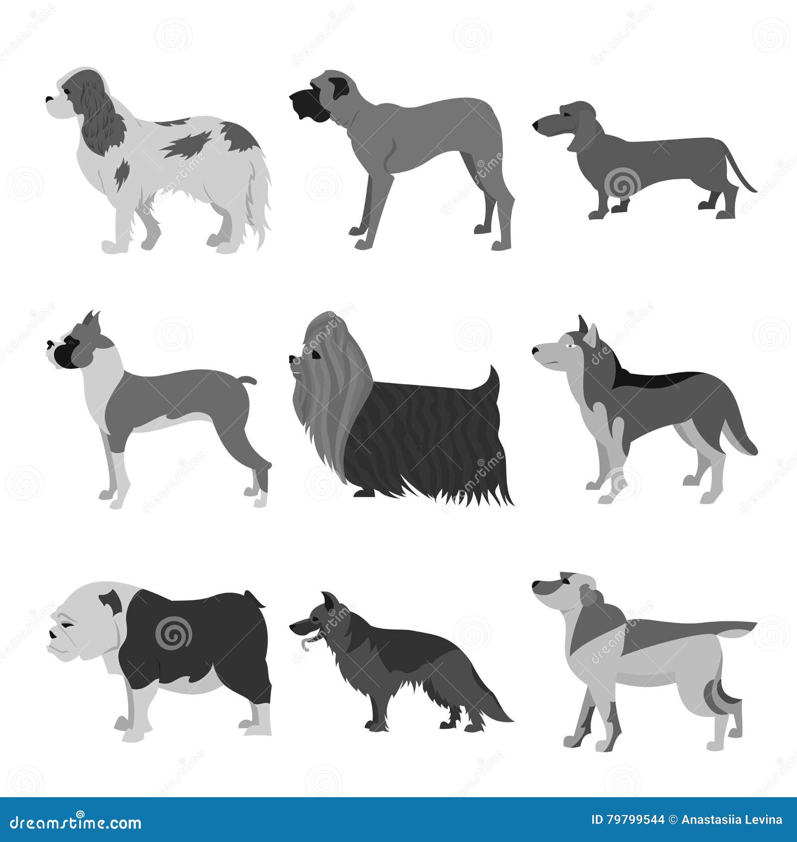 Sistema Del Plano De Los Perros Stock de ilustración - Ilustración de ...