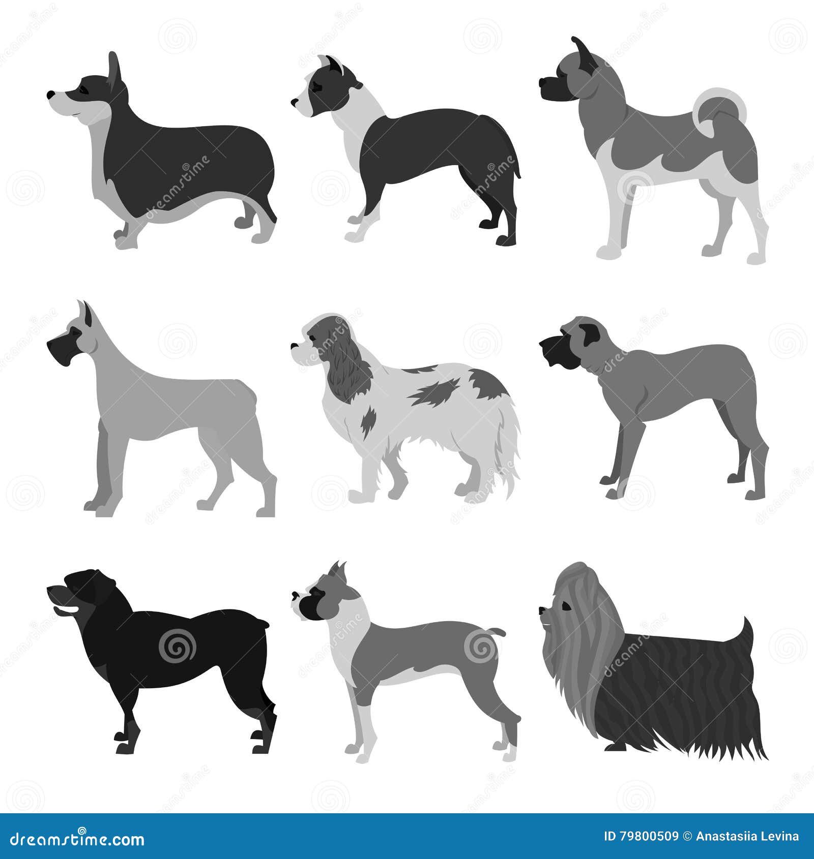 Sistema Del Plano De Los Perros Stock de ilustración - Ilustración de ...