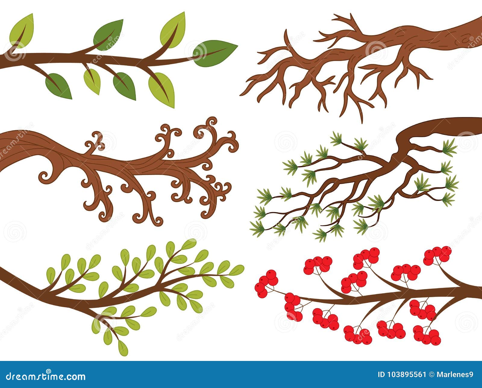 Sistema Del Vector De Diversas Ramas De árbol Ejemplo Del Vector De Las ...