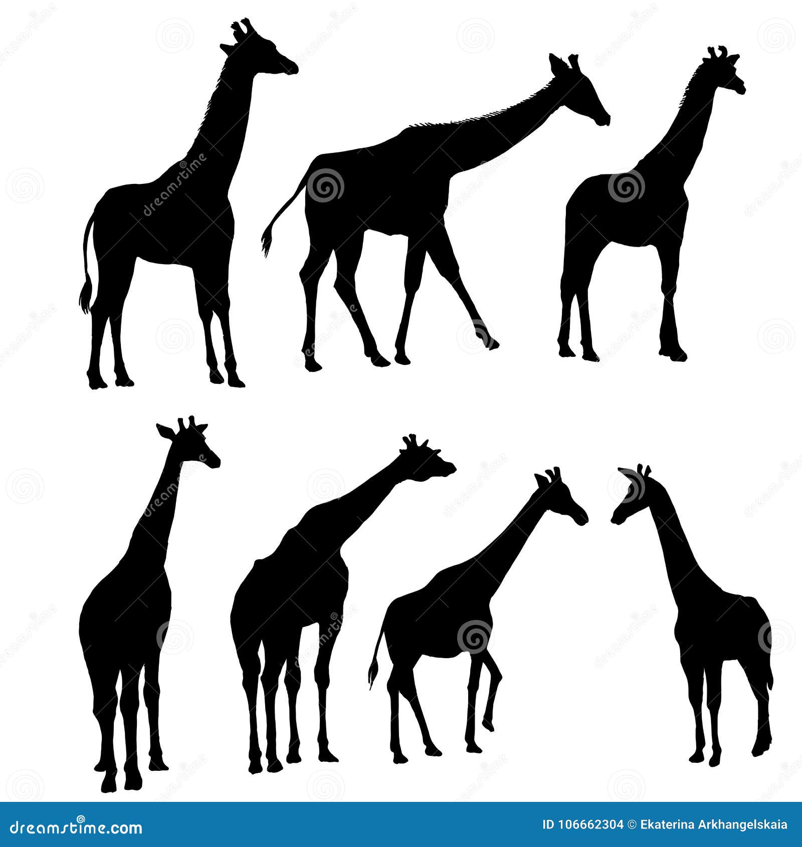 Sistema Del Vector De Jirafas Ilustración del Vector - Ilustración de ...