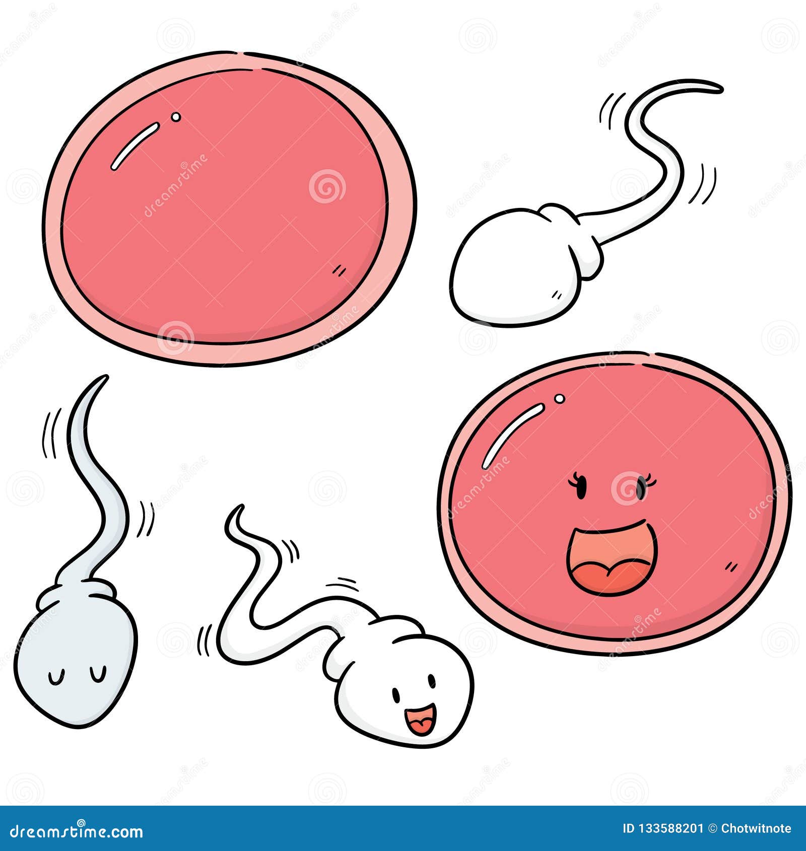 Sistema Del Vector De La Esperma Y Del Huevo Ilustración del Vector ...