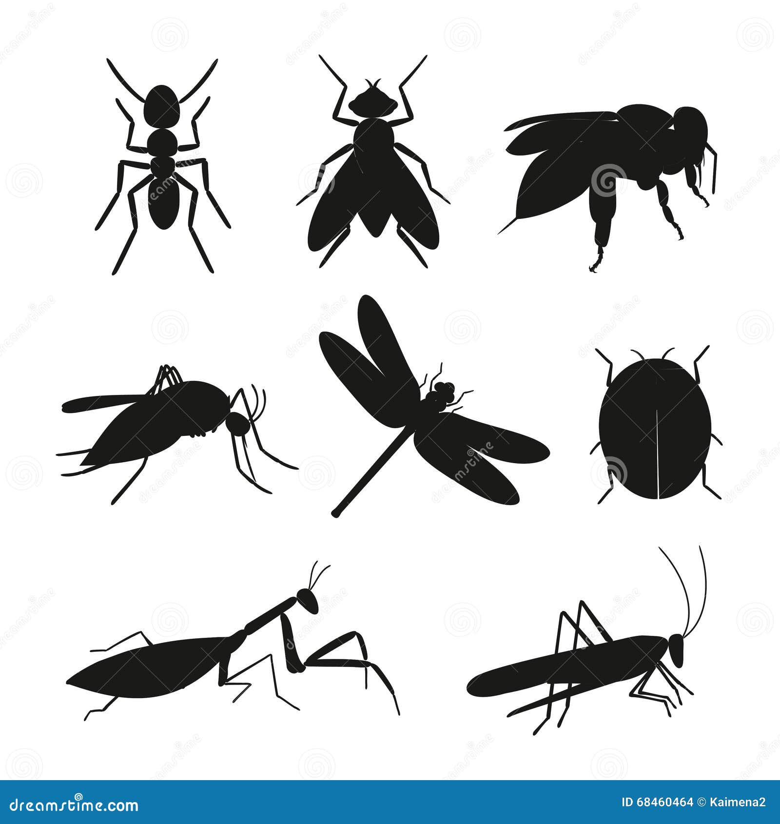Sistema Del Vector De La Silueta De Los Insectos Ilustración del Vector ...