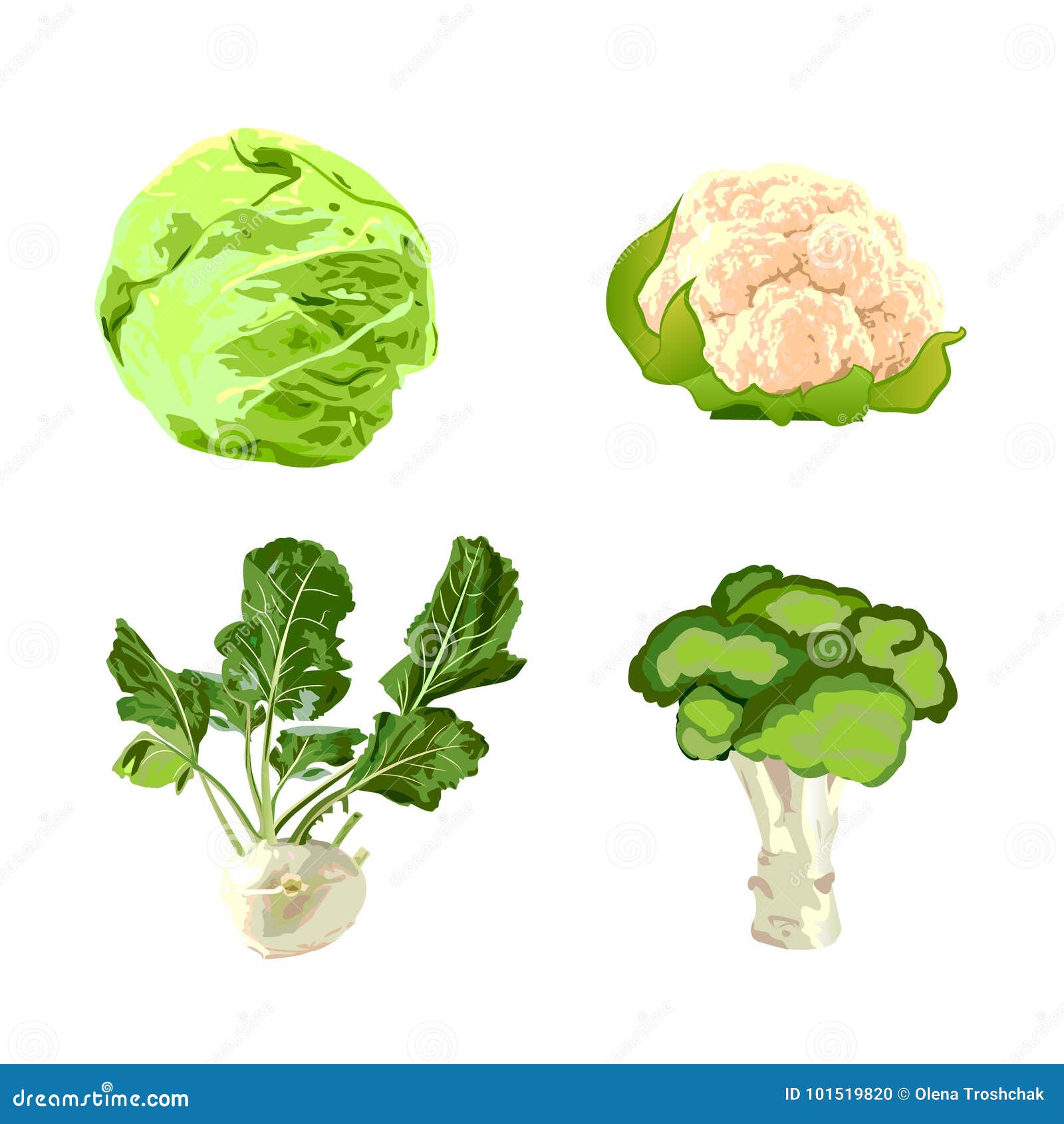 Sistema Del Vector De Las Coles Ilustración del Vector - Ilustración de ...