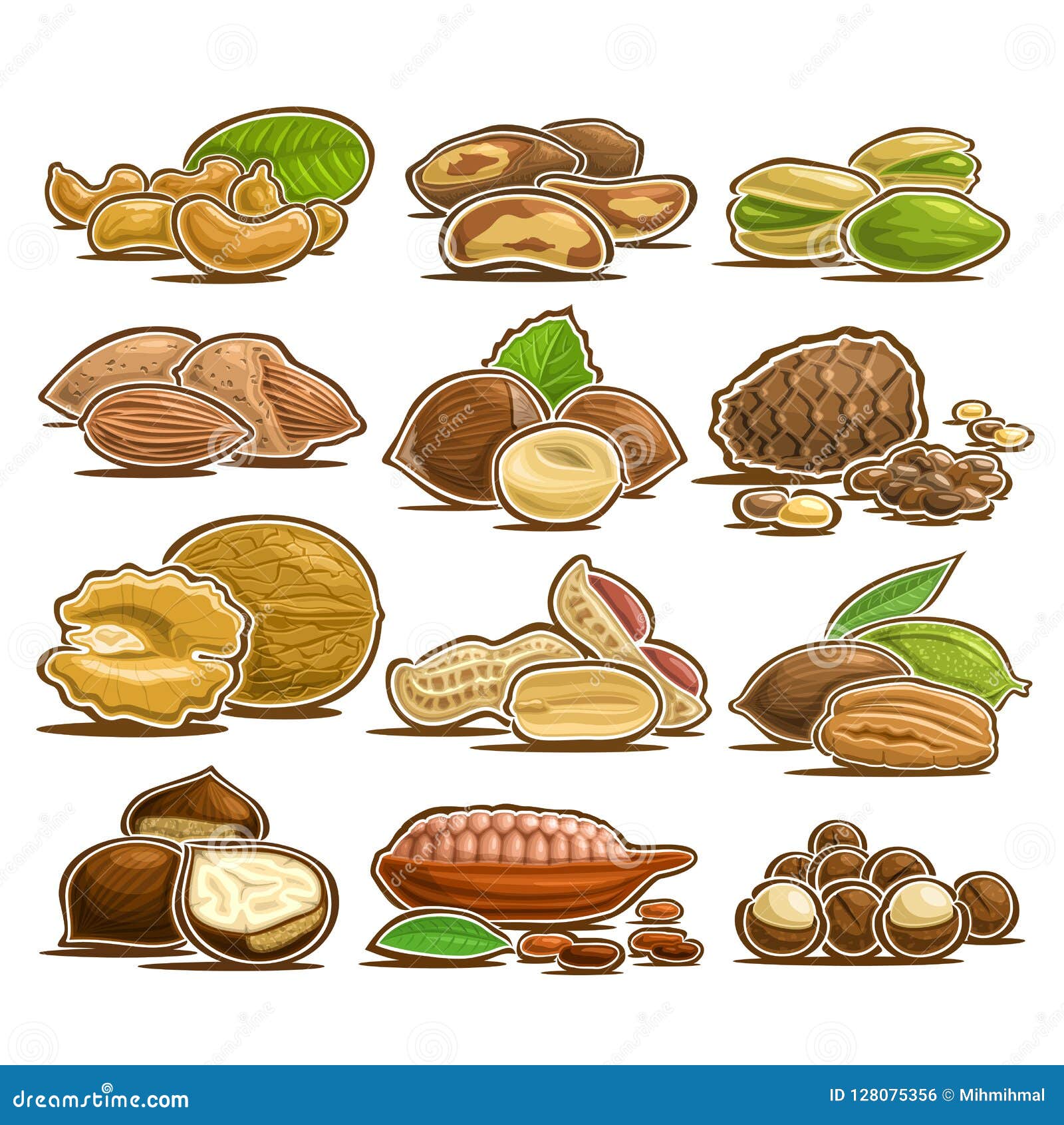 Sistema Del Vector De Nueces Ilustración del Vector - Ilustración de ...