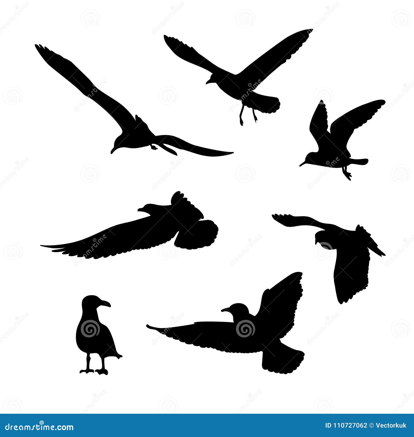 Sistema Del Vector De Siluetas De Las Gaviotas Ilustración del Vector ...