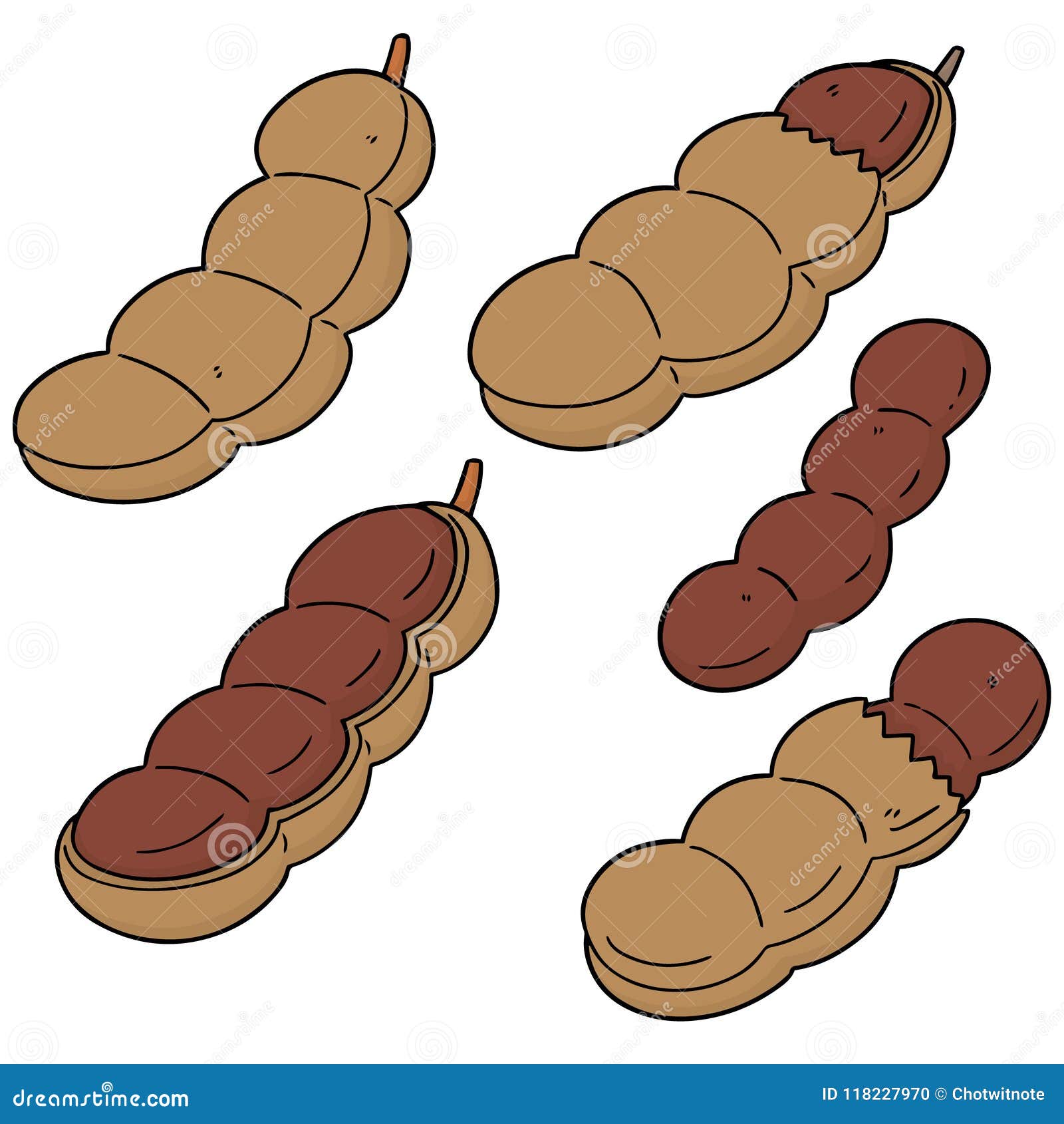 Sistema Del Vector De Tamarindo Ilustración del Vector - Ilustración de ...