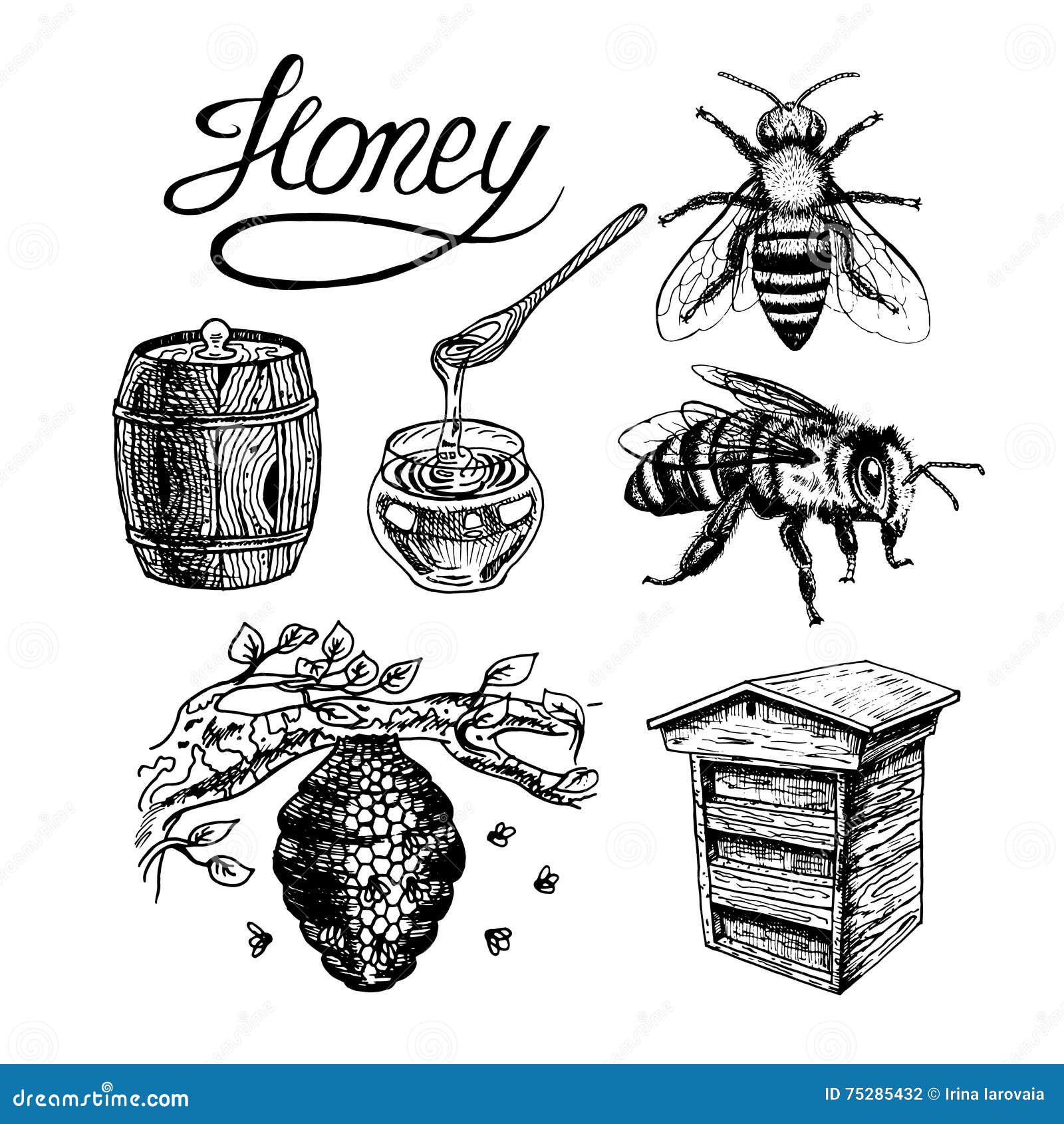 Sistema Del Vector Del Vintage De La Miel Ilustración del Vector ...