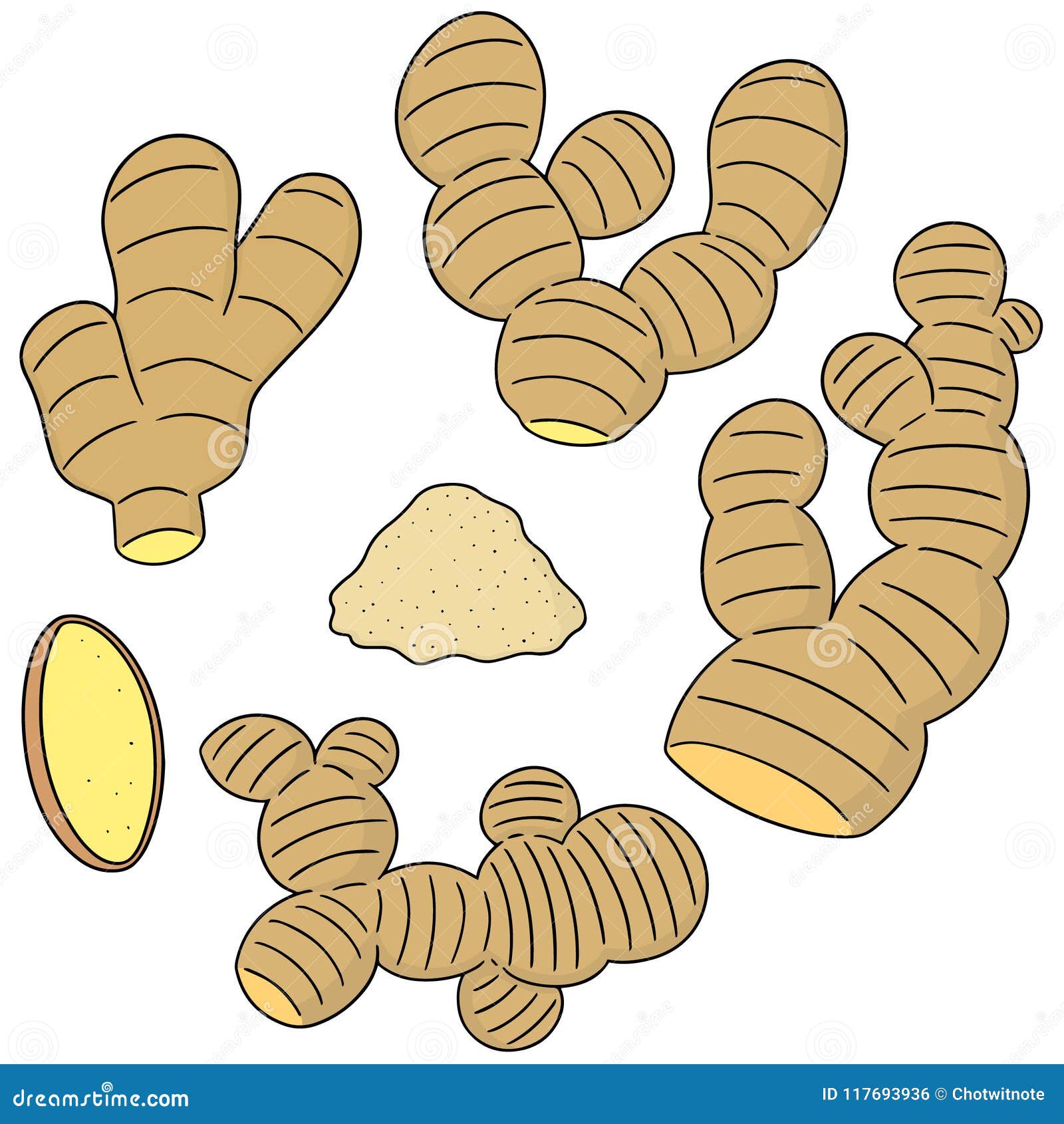 Sistema Del Vector Del Jengibre Ilustración del Vector - Ilustración de ...