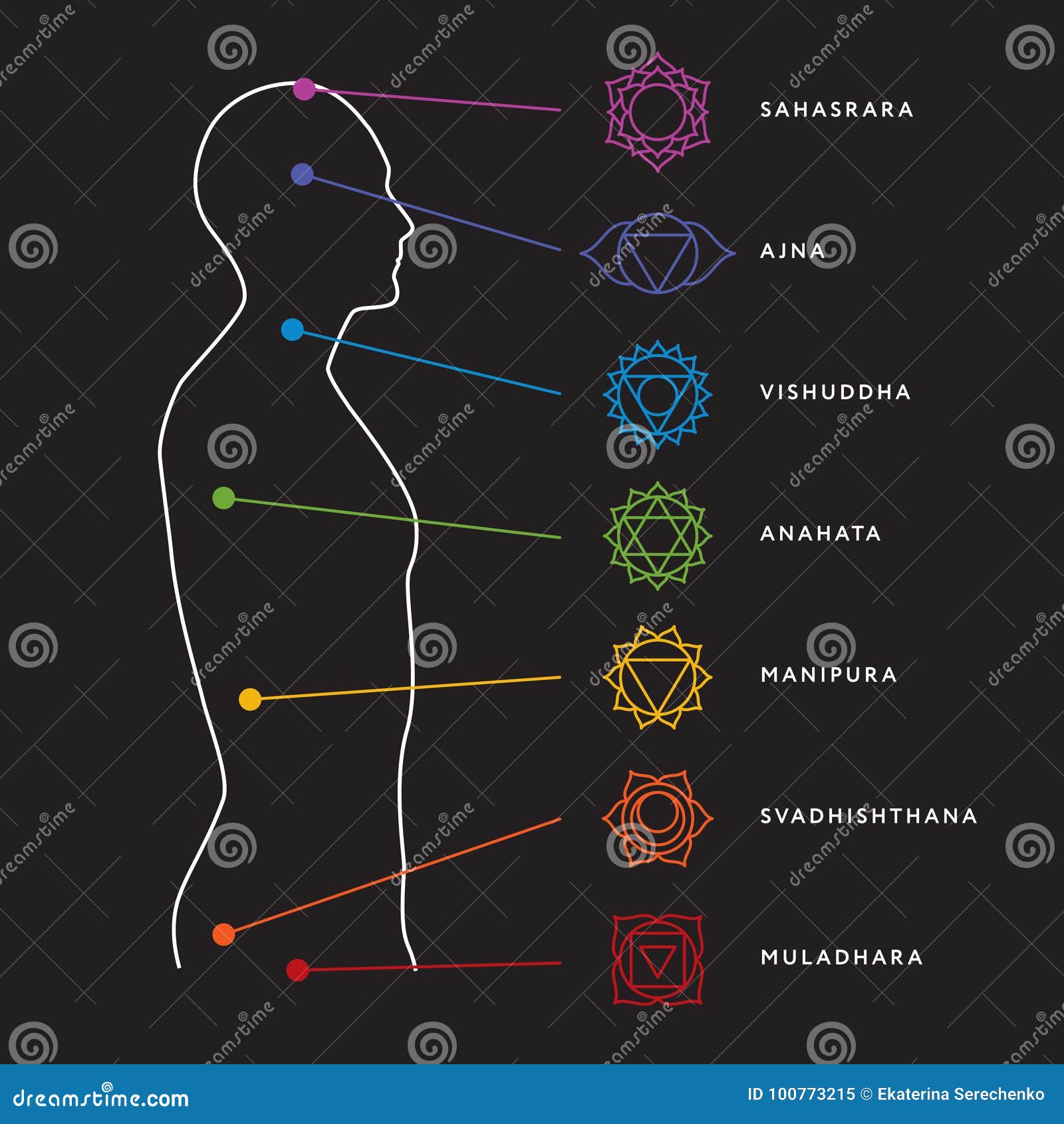 Sistema Di Chakra Del Corpo Umano Illustrazione Vettoriale ...