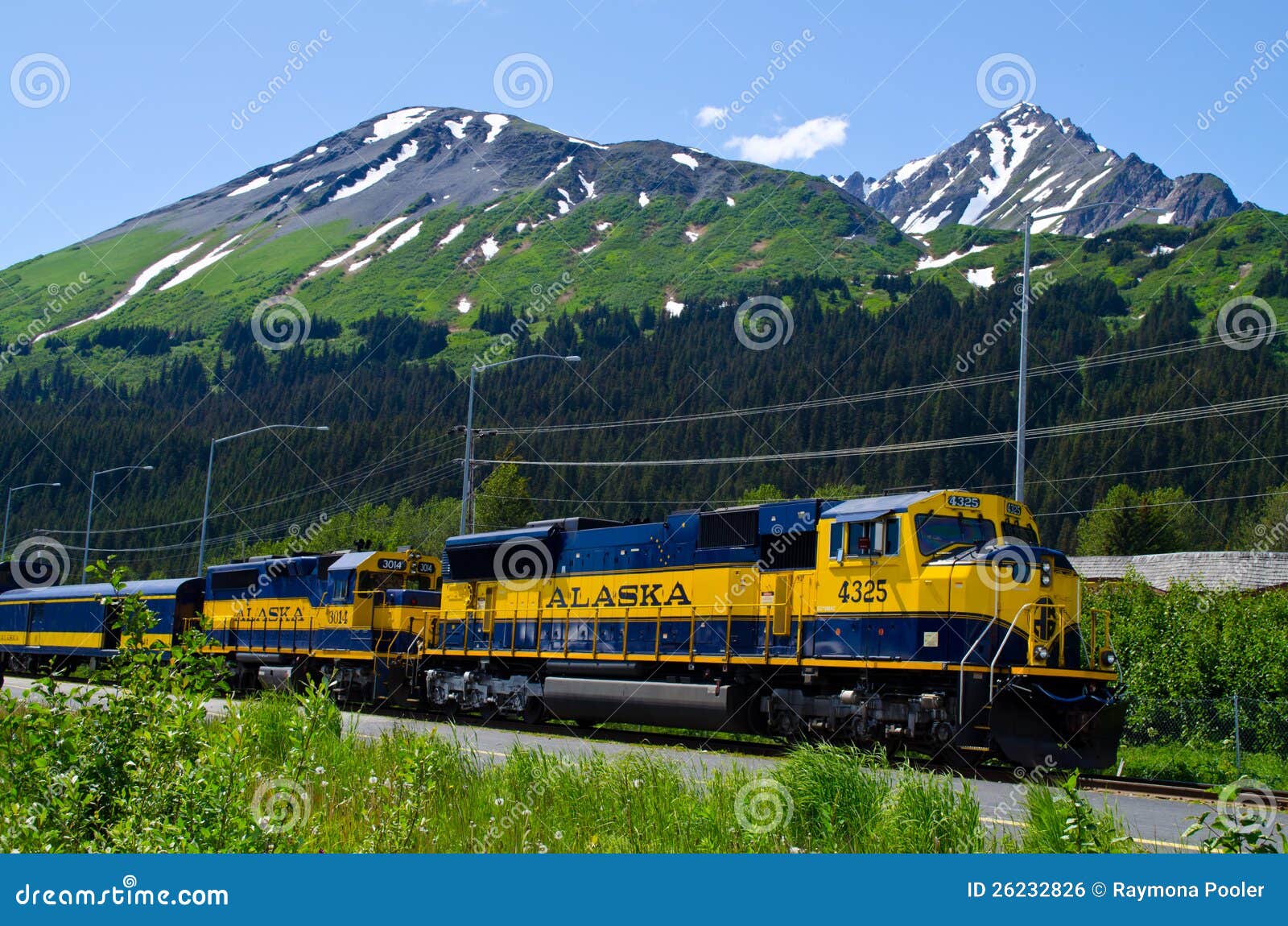 Sistema Ferroviario De Alaska Foto editorial - Imagen de exterior ...
