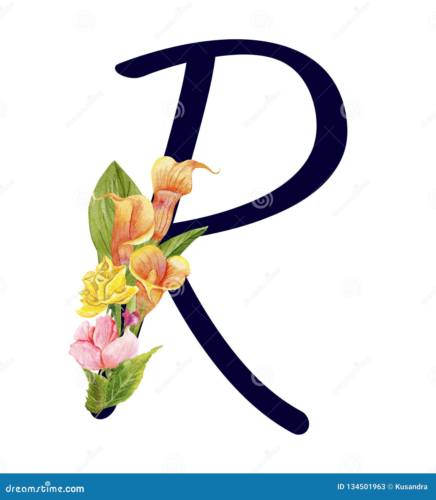 Sistema floral R de ABC stock de ilustración. Ilustración de aislado ...