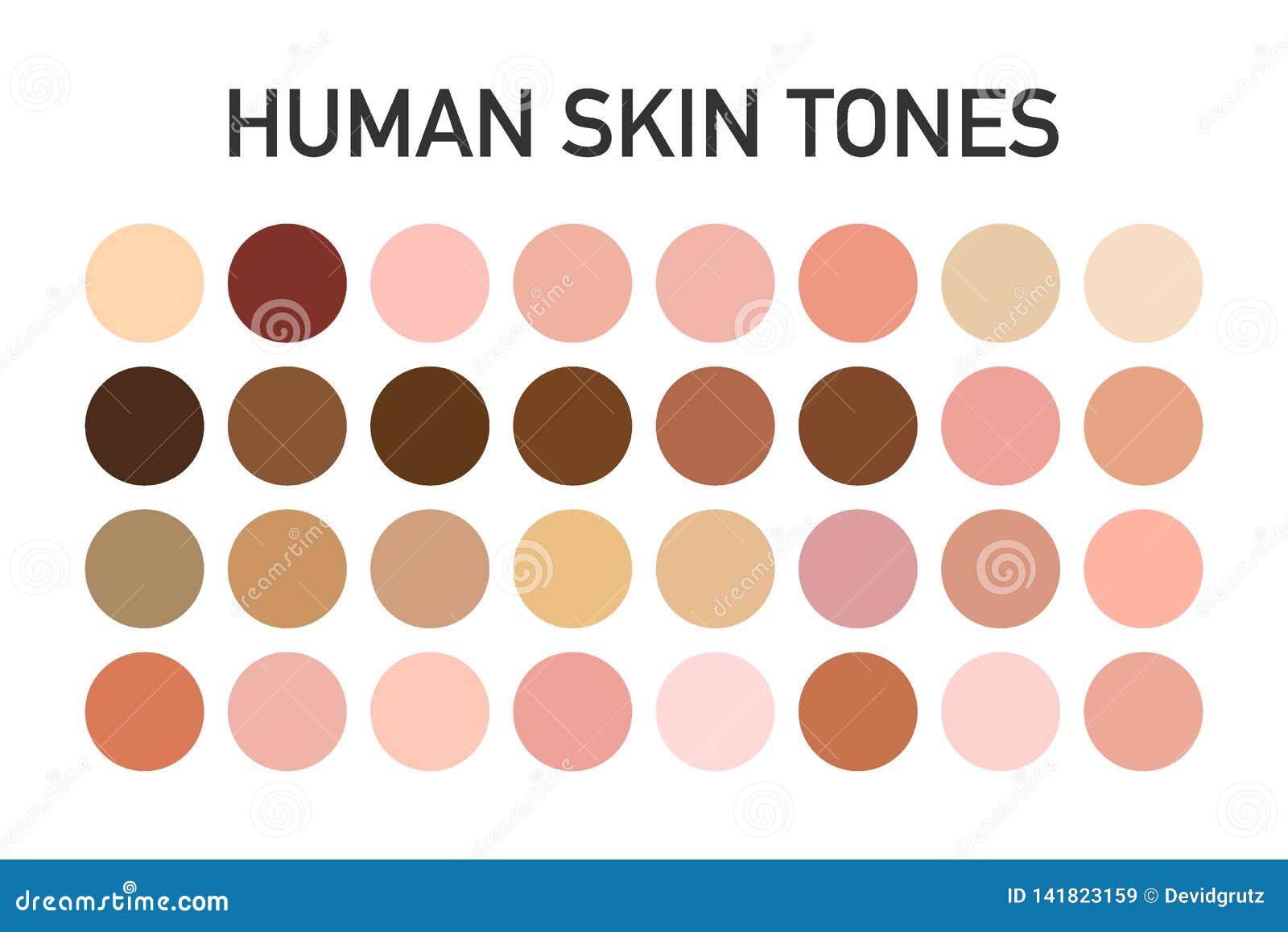 Sistema Humano De La Paleta De Colores Del Tono De Piel Aislado En
