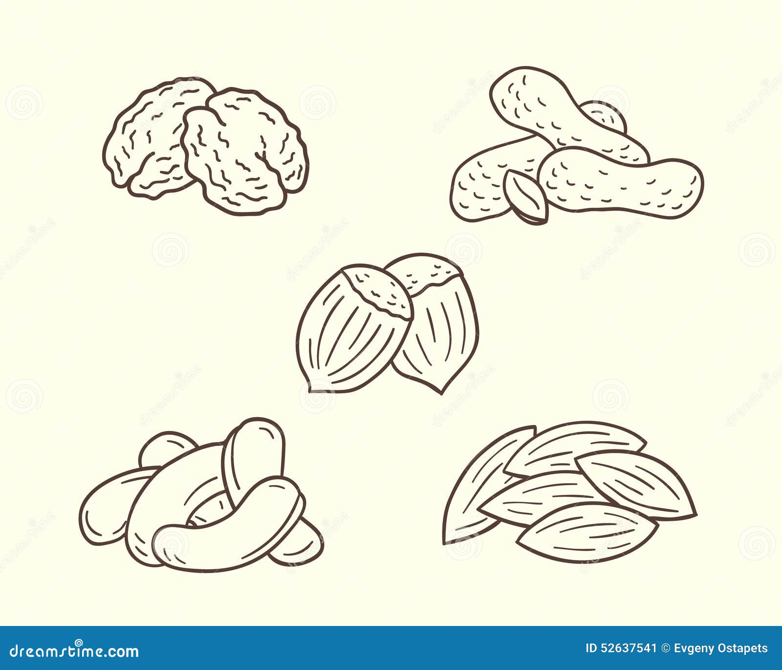 Sistema Nuts del icono ilustración del vector. Ilustración de vendimia ...