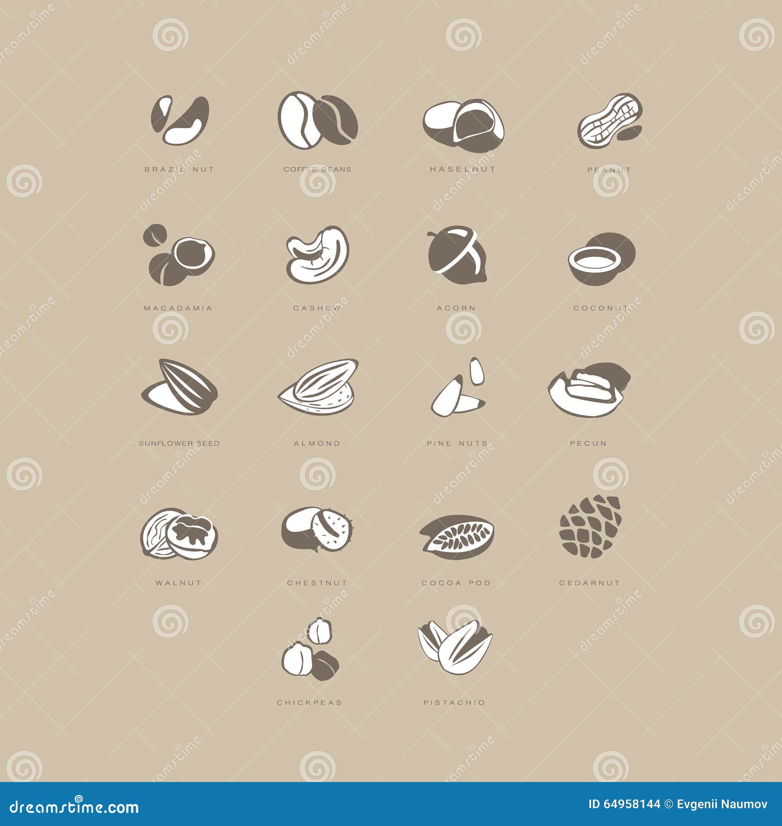 Sistema Nuts Del Icono Vector Illustartion Ilustración del Vector ...