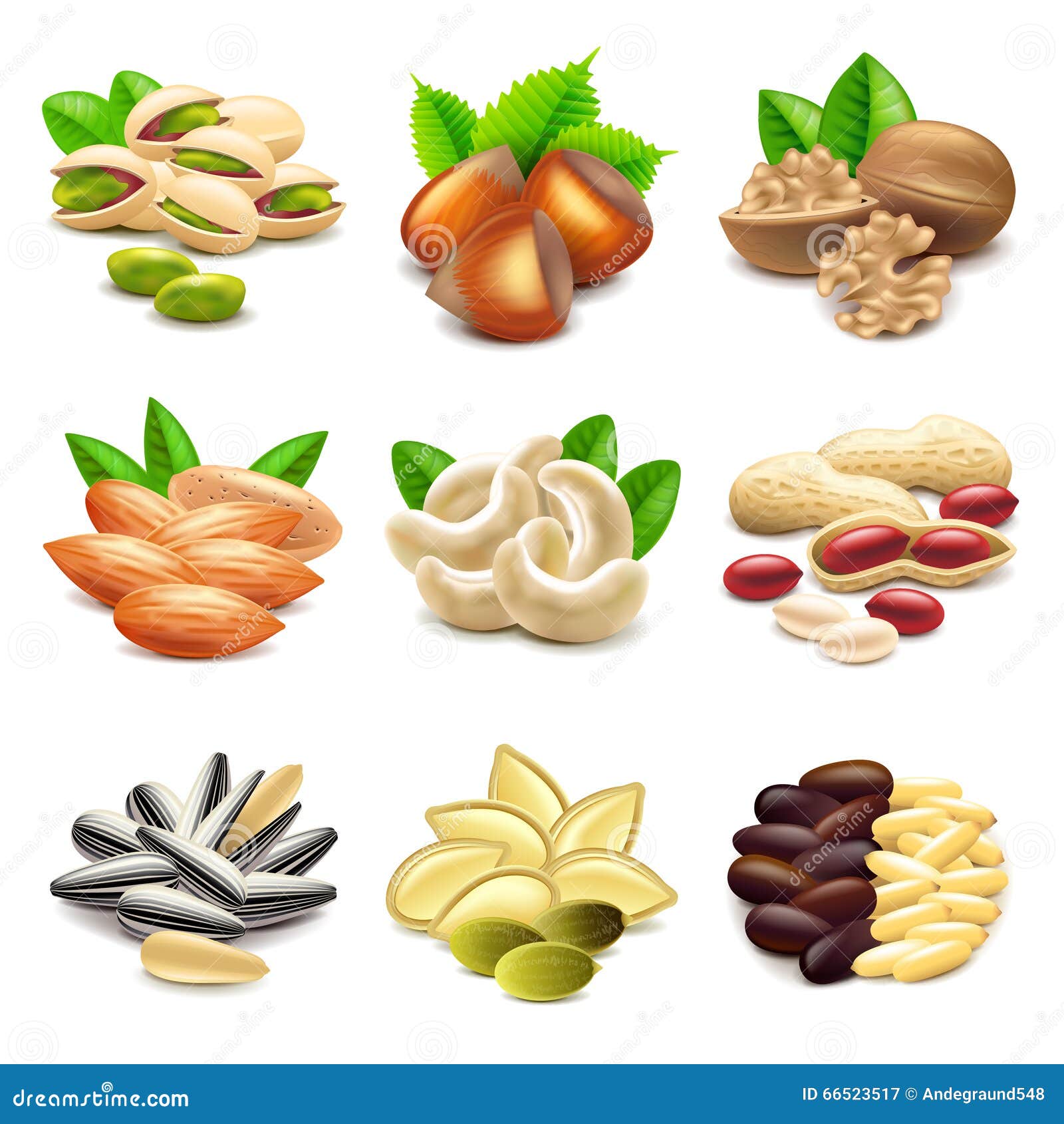 Sistema Nuts Del Vector De Los Iconos Ilustración del Vector ...