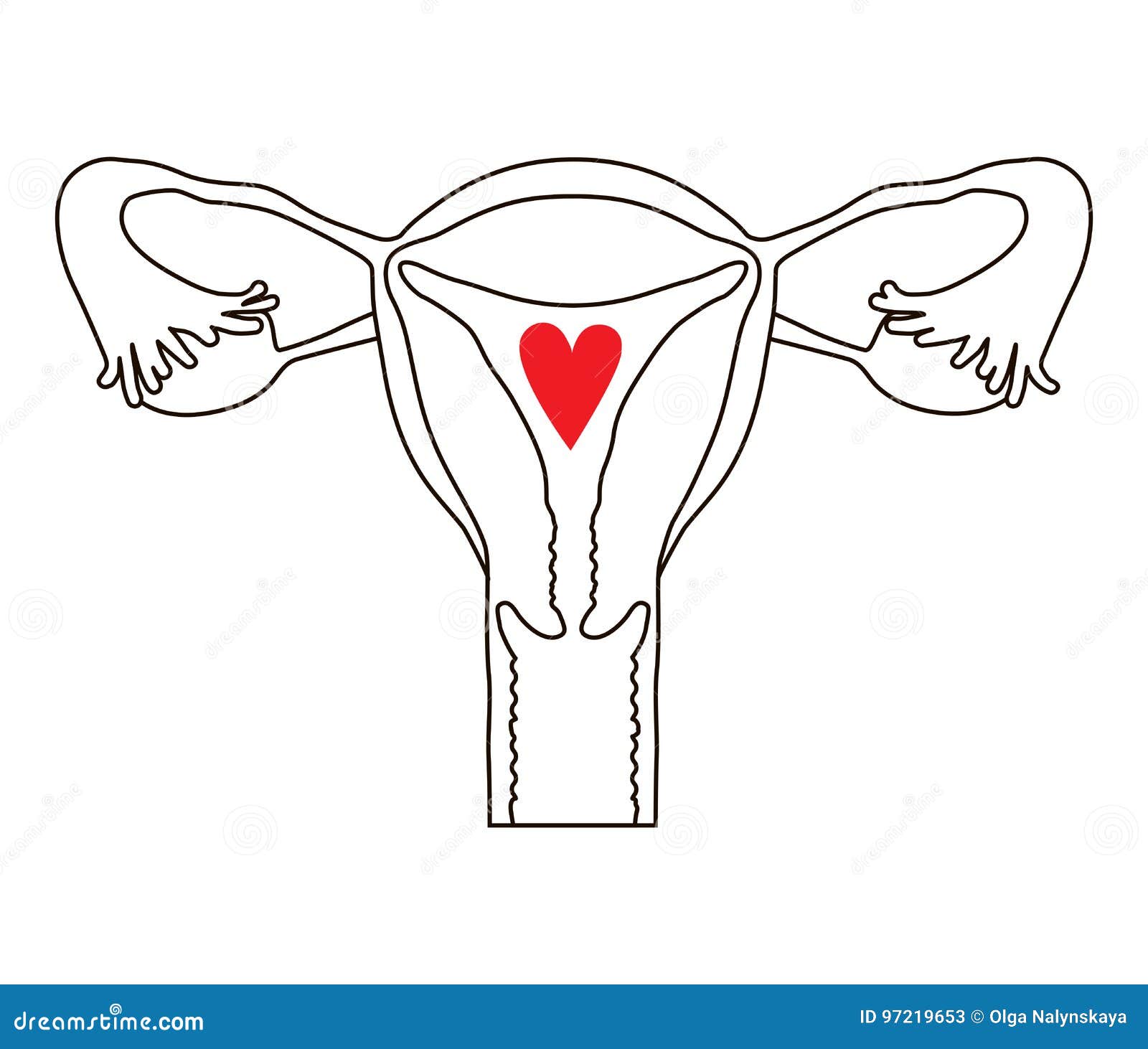 Sistema Reproductivo Femenino Icono De Ginecología Ilustración Del