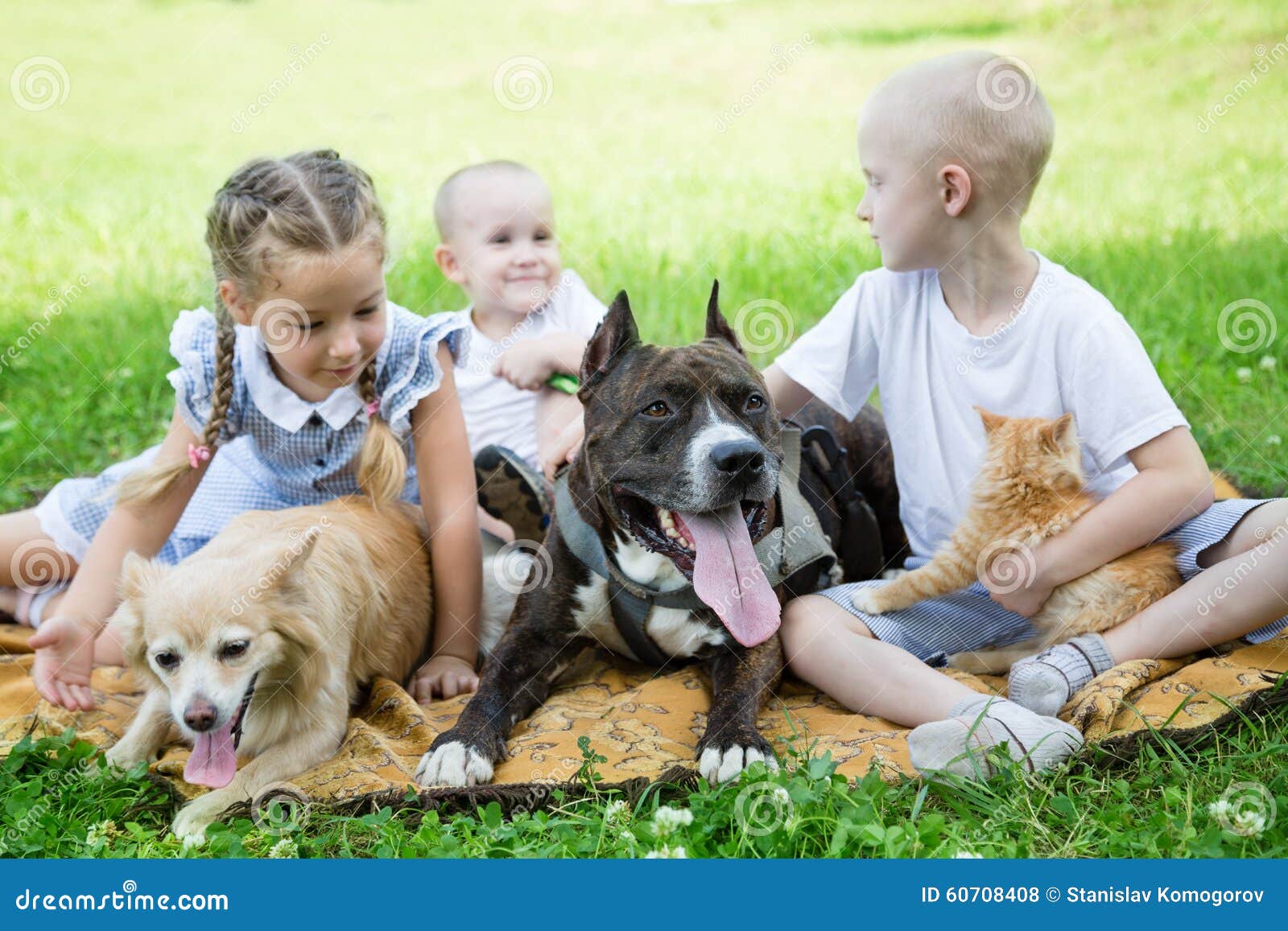 Can A Brother And Sister Dog Have Puppies