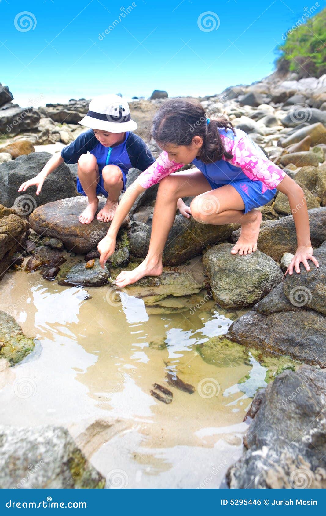 Sister and Brother by a Tropical Rockpool Stock Photo - Image of learn ...