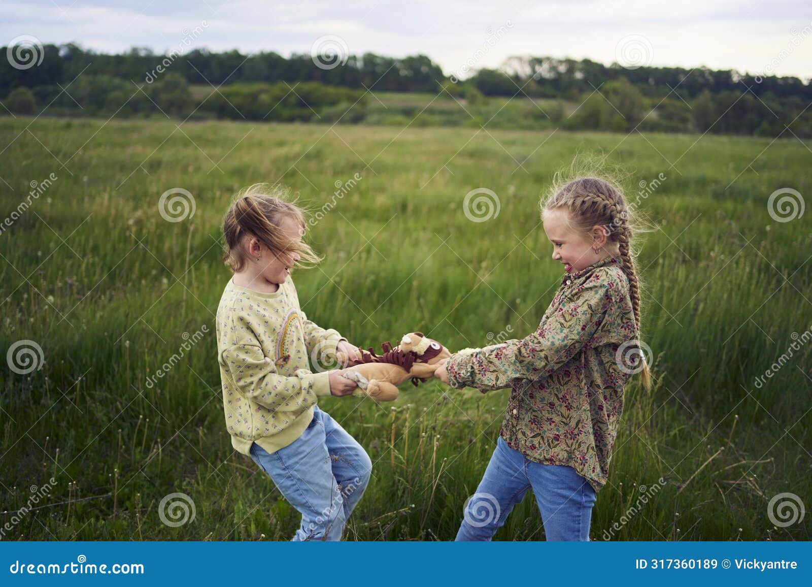 Sisters Fight Over a Toy Bunny Stock Image - Image of dispute, people ...