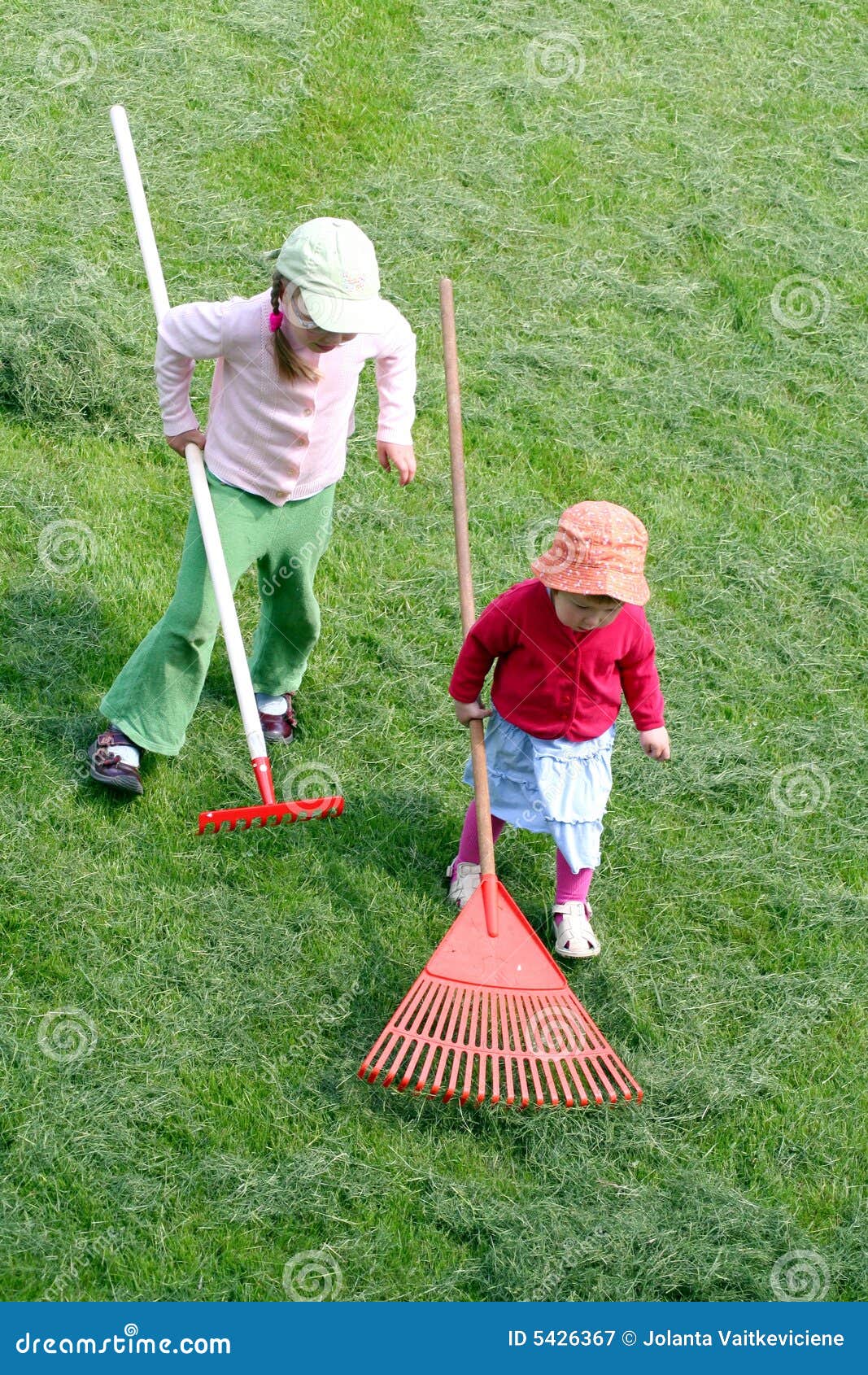 Sisters Raking Up the Cut Grass Stock Image - Image of yard, raking ...