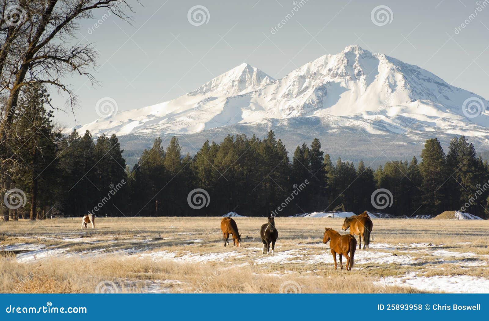 Three Sisters Horse Ranch Homestead Mountain Snow Stock Photo - Image ...