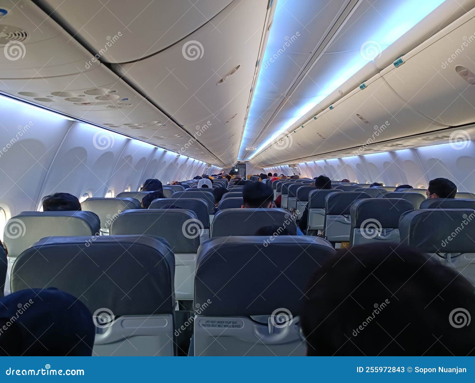 Sit on the Plane. Looking at the Chair from the Back of the Plane ...