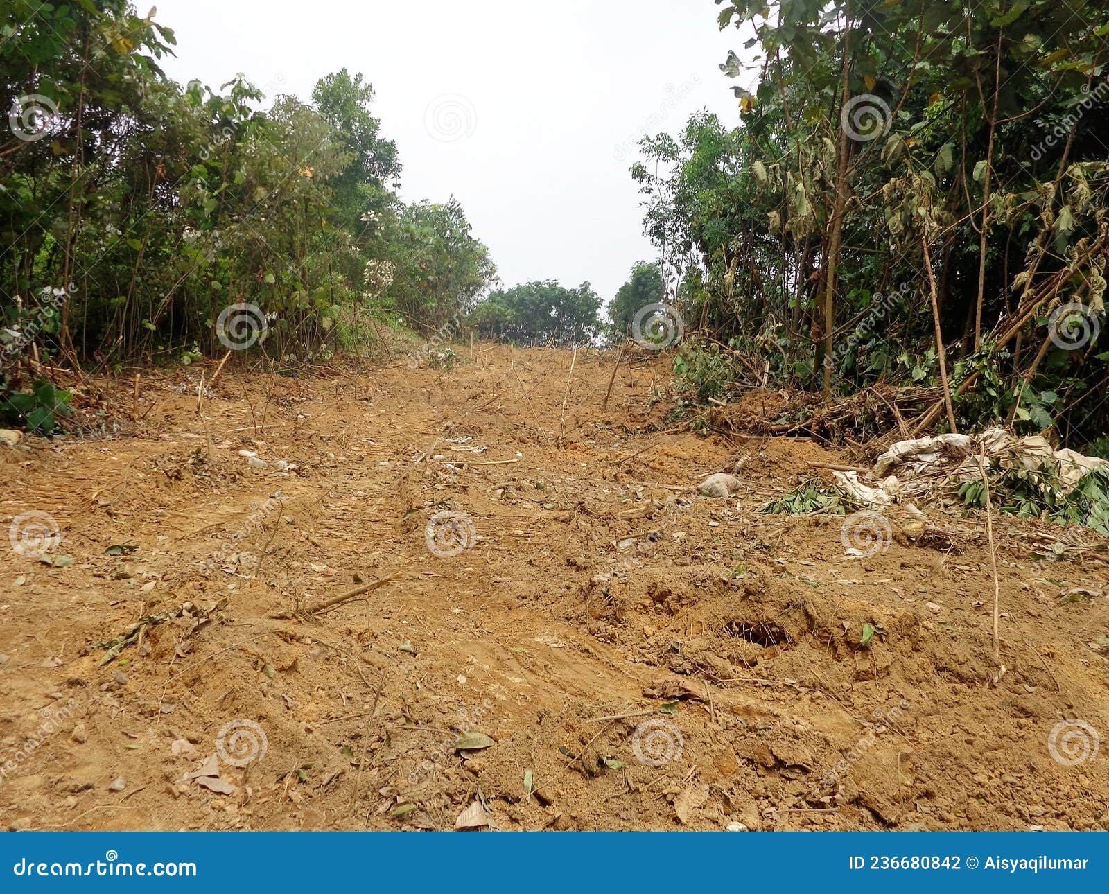 Site Clearing Works and Formation of Building Platforms for ...