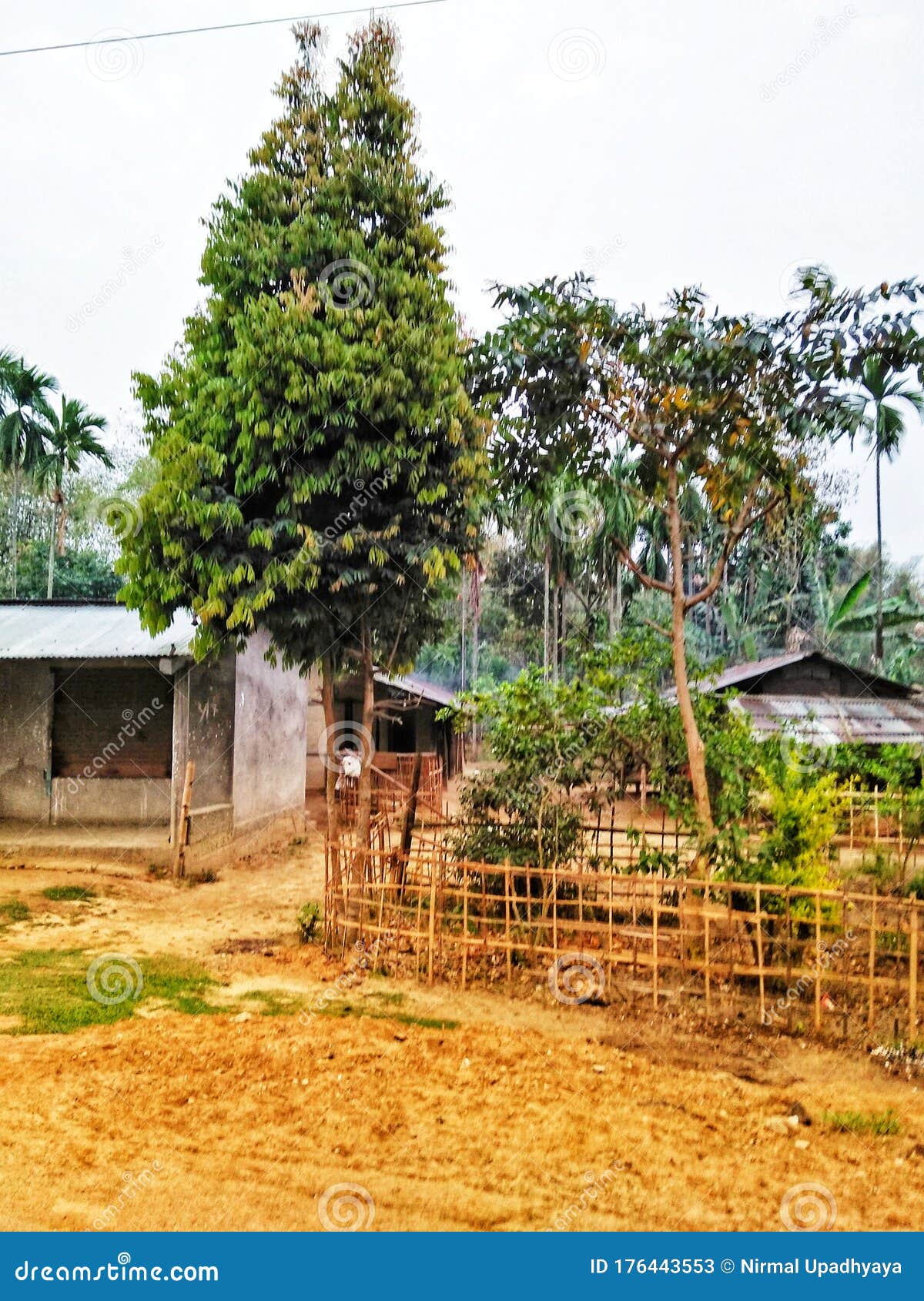 A Site of a Rural Place of Assam ,India Stock Image - Image of fancing ...