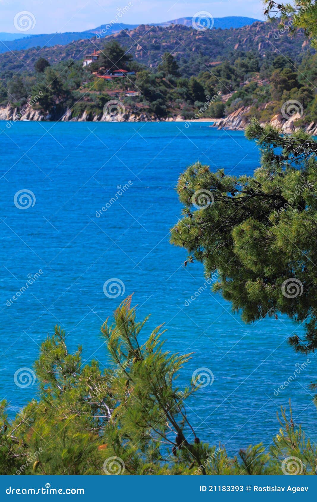 Sithonia Mediterranean Sea View Stock Image - Image of resort, pine ...