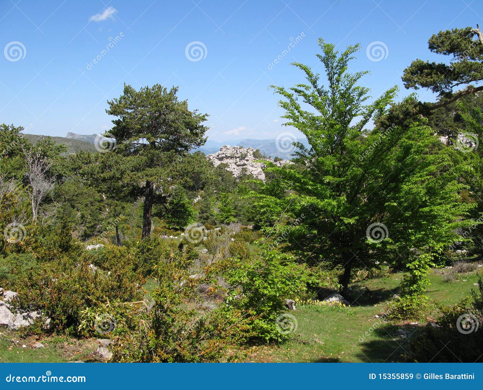 Sitio De Los Cadieres De Brandished Imagen de archivo - Imagen de ...