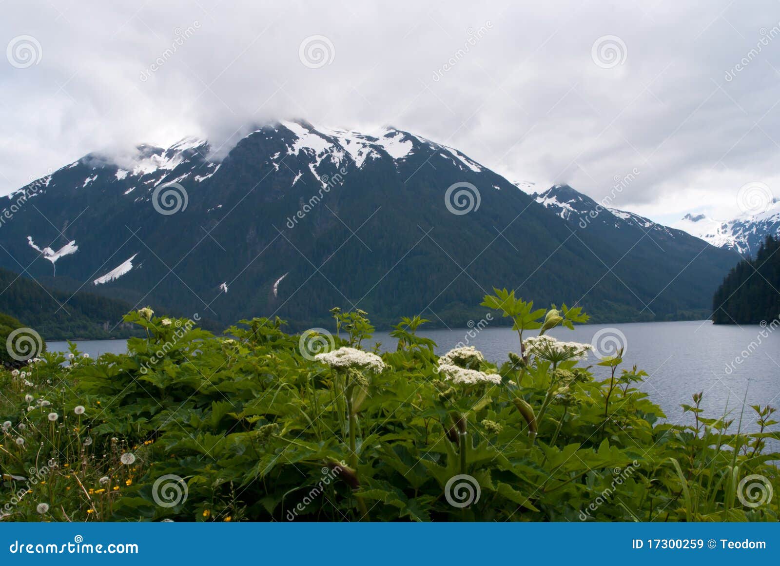 Sitka Bay stock image. Image of scenery, conservation - 17300259
