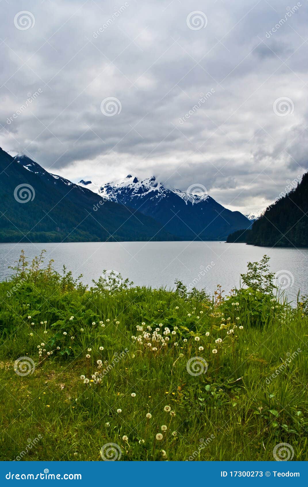 Sitka Bay stock image. Image of blue, alaska, rugged - 17300273