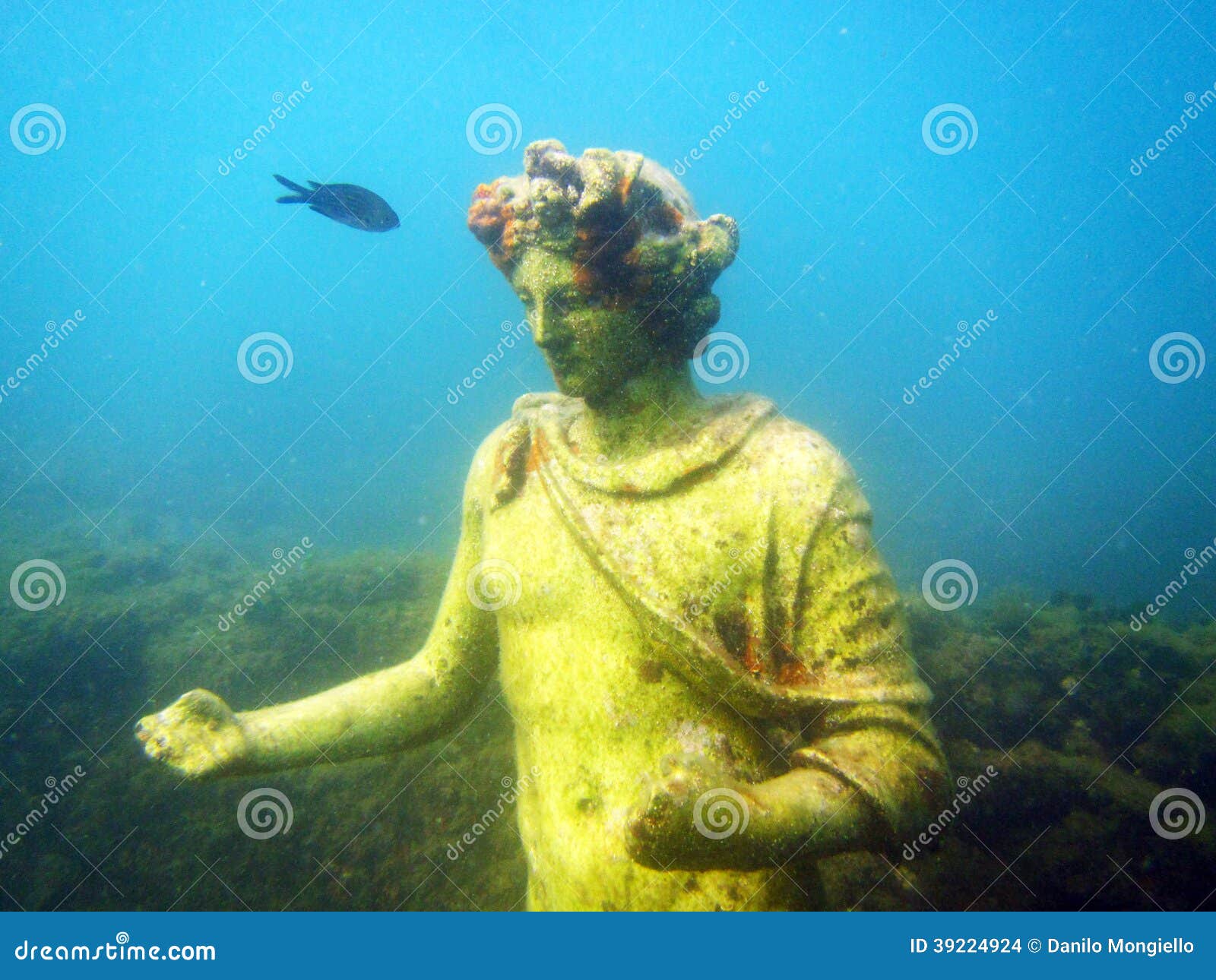 Sito subacqueo fotografia stock. Immagine di coltura - 39224924