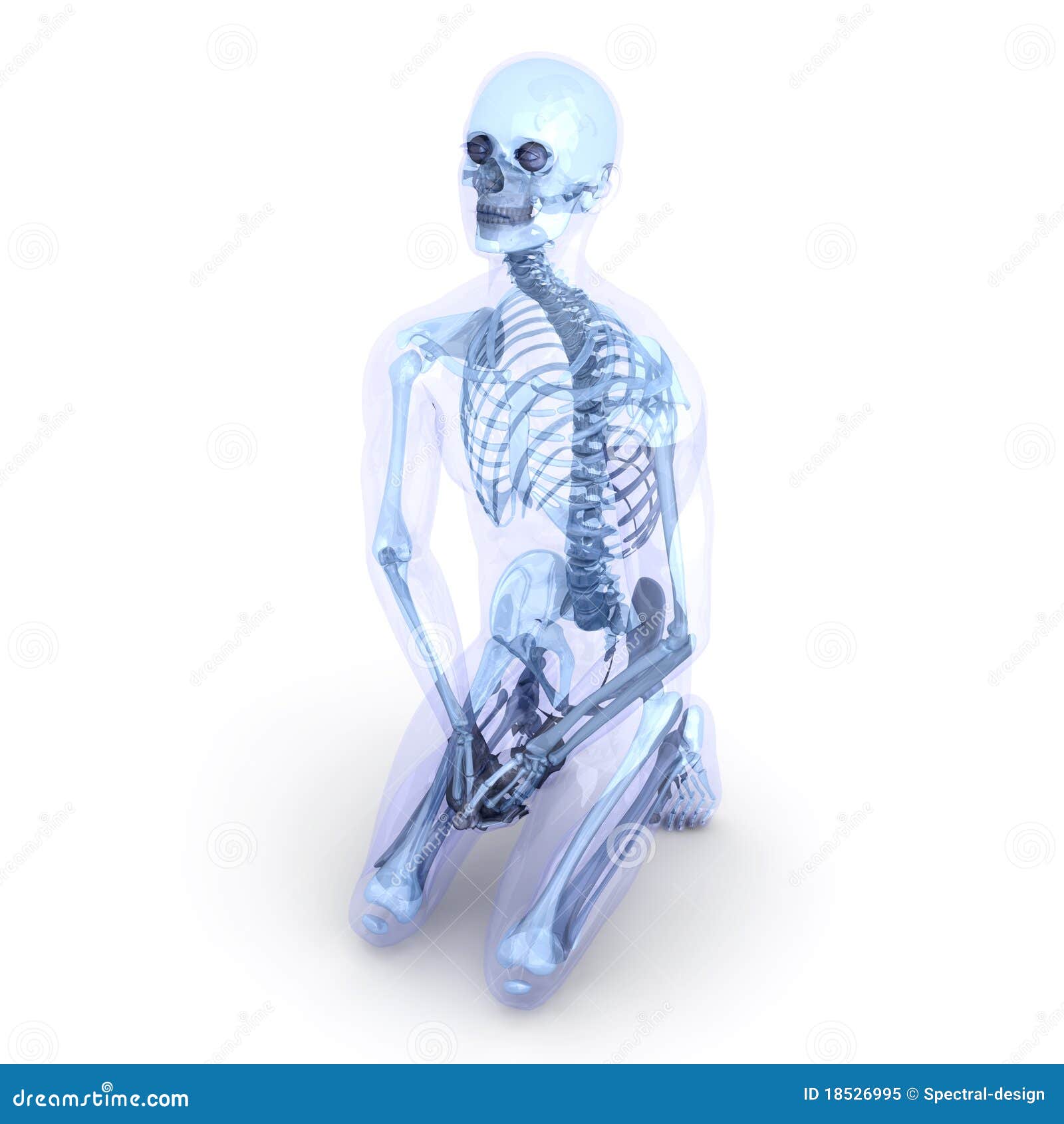 Sitting Anatomy stock illustration. Illustration of abdomen - 18526995