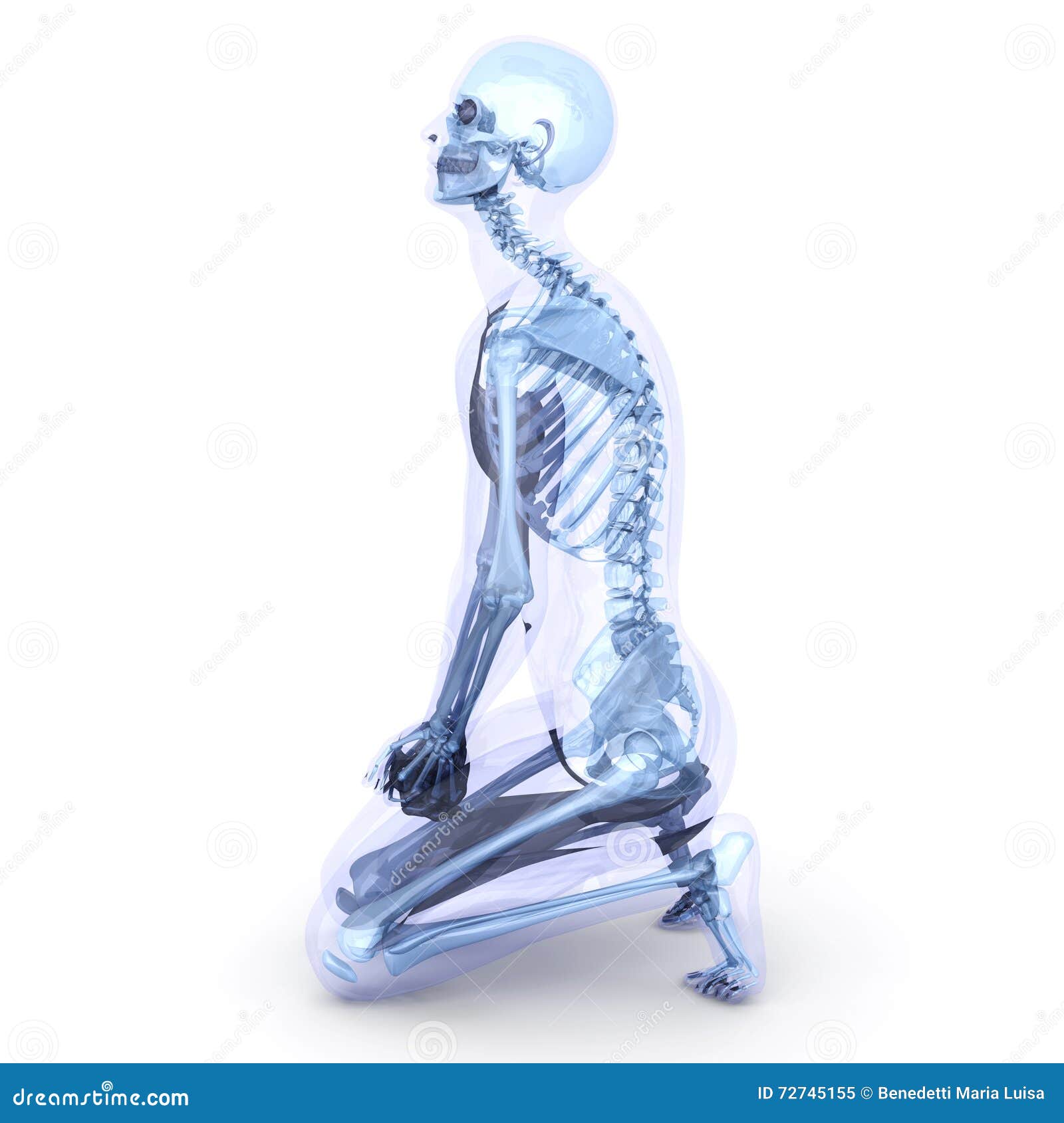 Sitting Anatomy stock illustration. Illustration of bone - 72745155