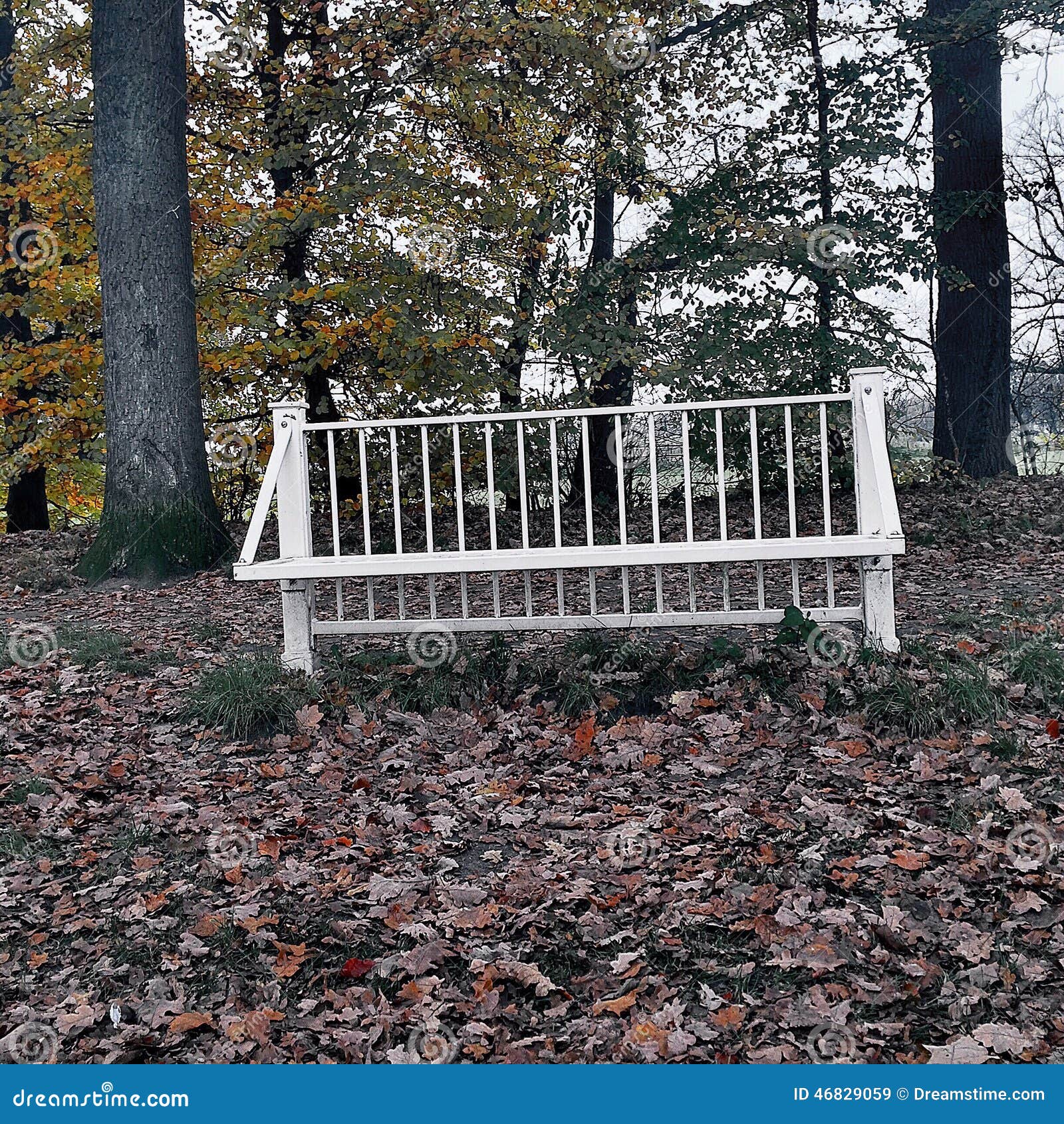 Sitting on the bank stock image. Image of woods, nice - 46829059