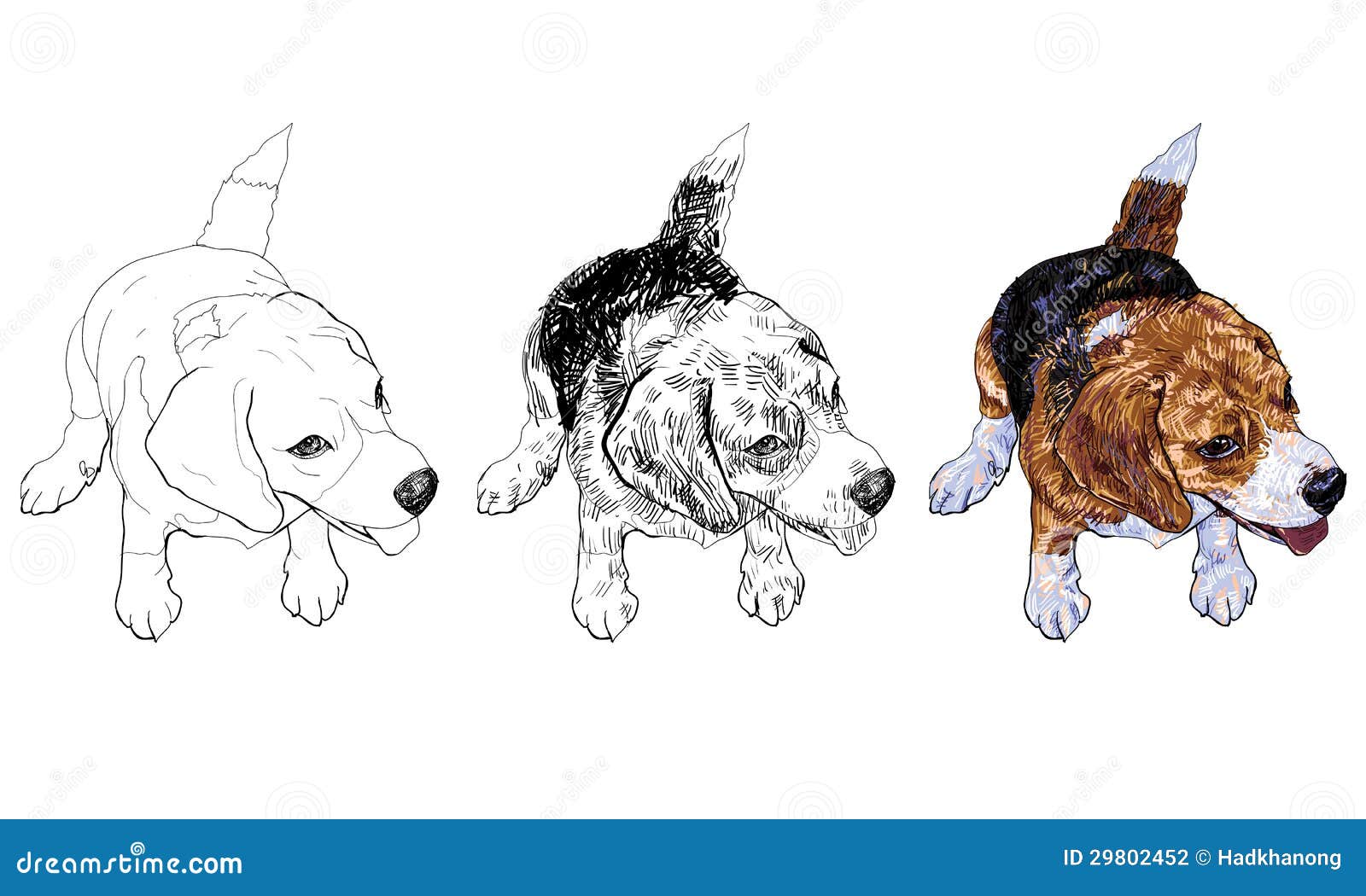 Sitting beagle stock illustration. Illustration of beagle - 29802452