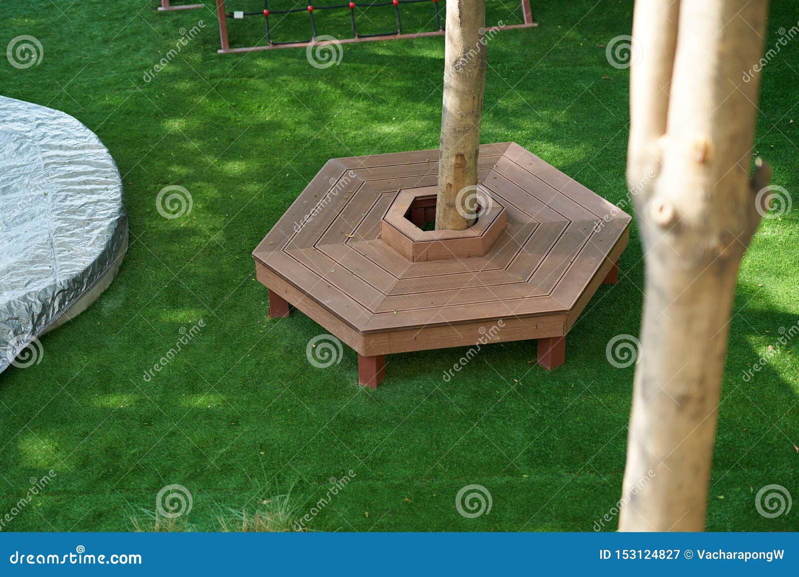 Sitting Chair Round Tree in Playground Garden Stock Image - Image of ...