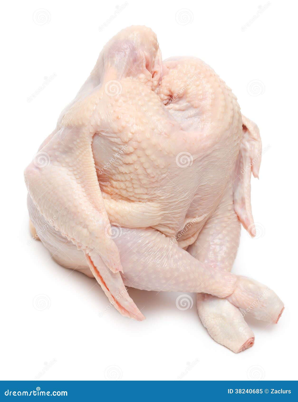 Sitting Chicken Royalty Free Stock Photo - Image: 38240685