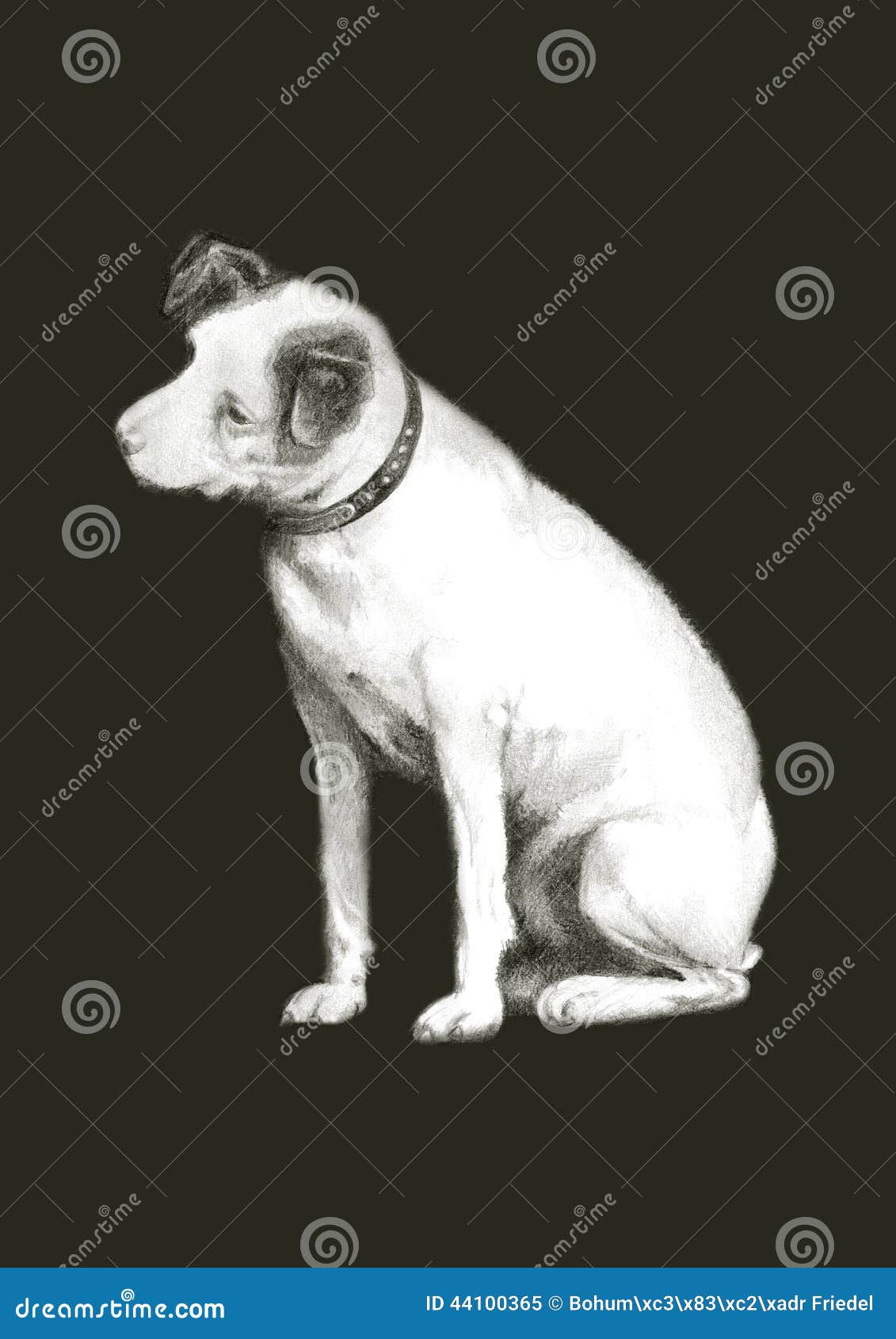 Sitting dog. stock image. Image of isolated, gorgeous - 44100365