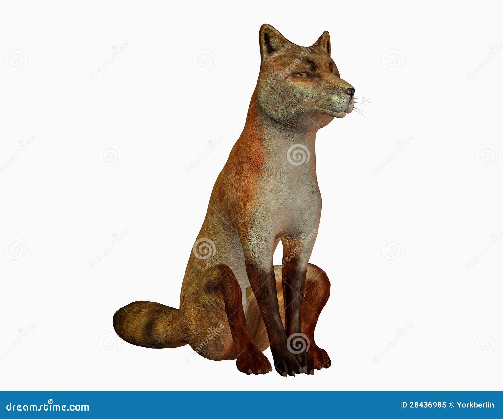 Sitting Fox Royalty-Free Stock Photo | CartoonDealer.com #28436985
