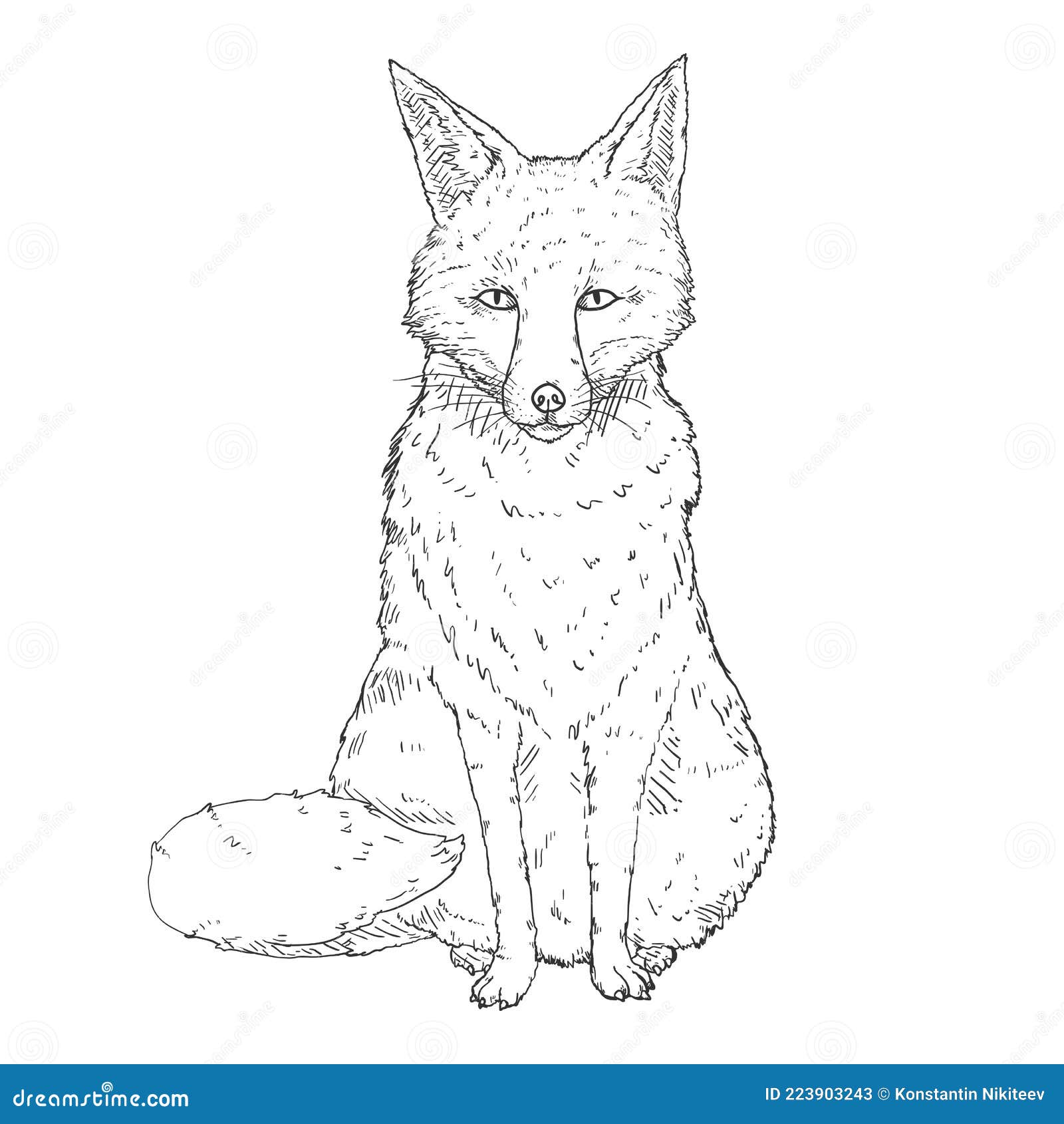 Sitting Fox. Front View. Vector Illustration Stock Vector ...