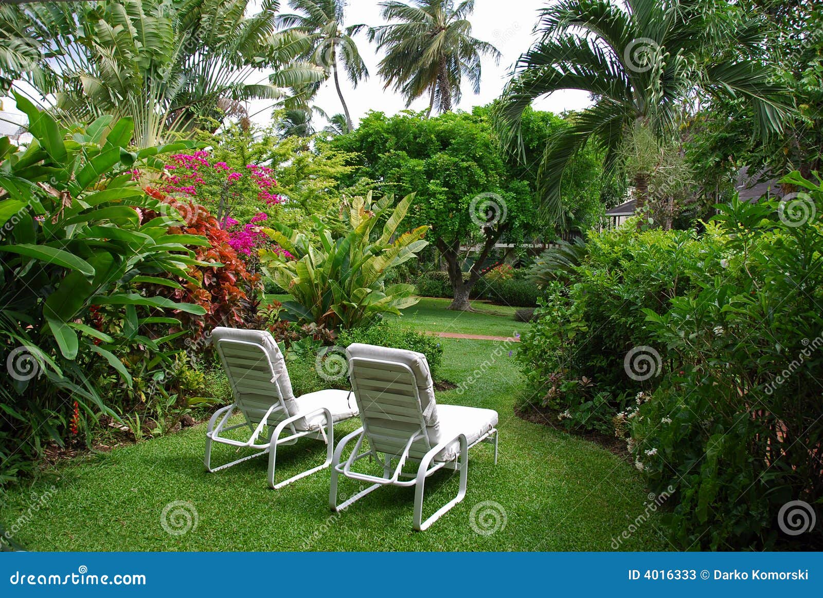 Sitting in the green stock image. Image of green, flora - 4016333