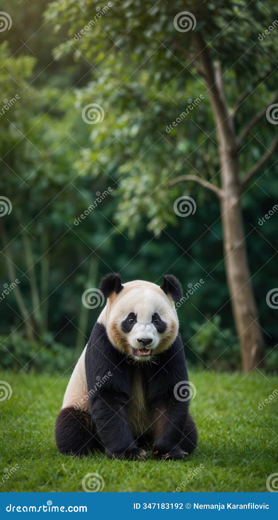Sitting Panda Minimalist Design Royalty-Free Cartoon | CartoonDealer ...