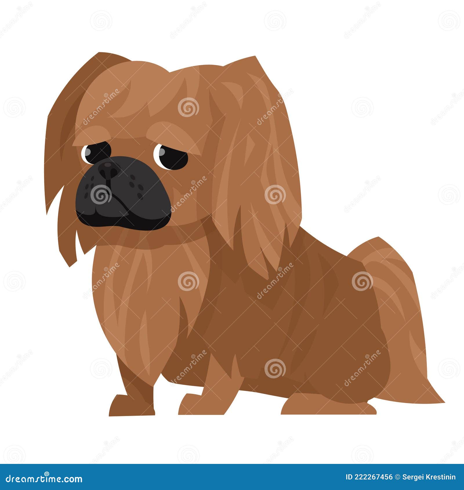 Sitting Pekingese Side View. Stock Vector - Illustration of beautiful ...