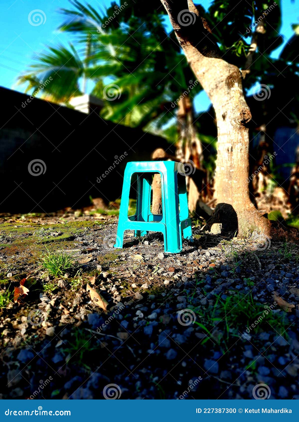 Sitting place. stock photo. Image of tree, chair, place - 227387300
