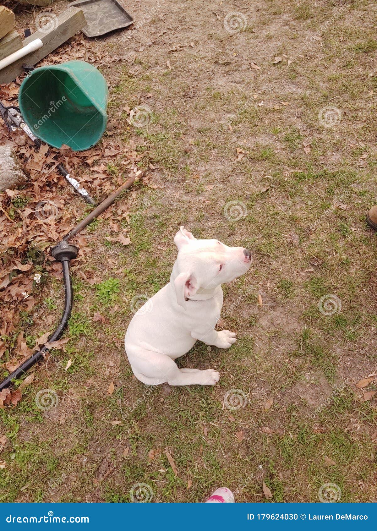 Sitting pretty boy style stock photo. Image of green - 179624030