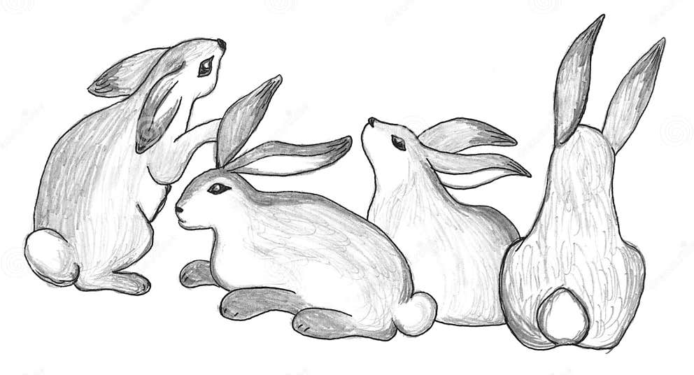 Sitting Rabbits Group, Sketch Stock Illustration - Illustration of ...
