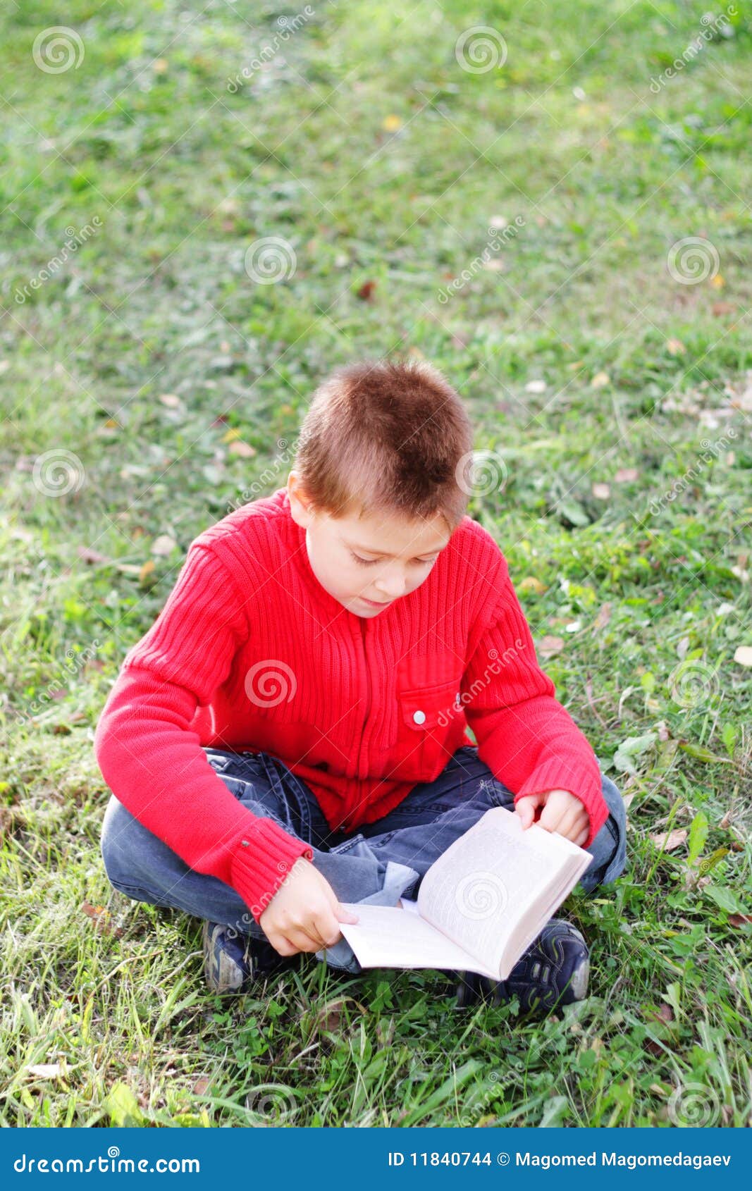 Sitting and reading stock photo. Image of hair, field - 11840744